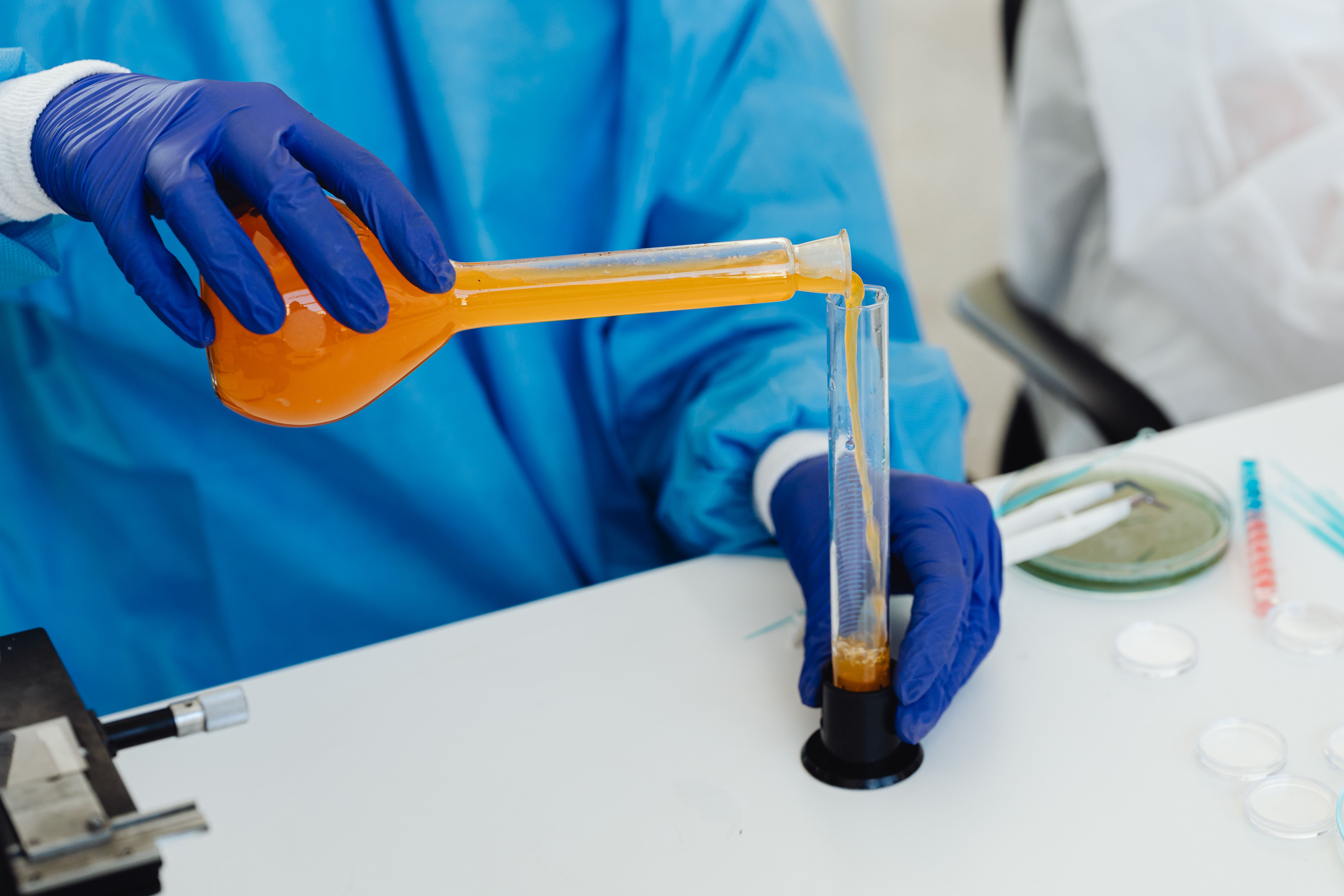 Crop laboratory technician examining interaction of chemicals in ...