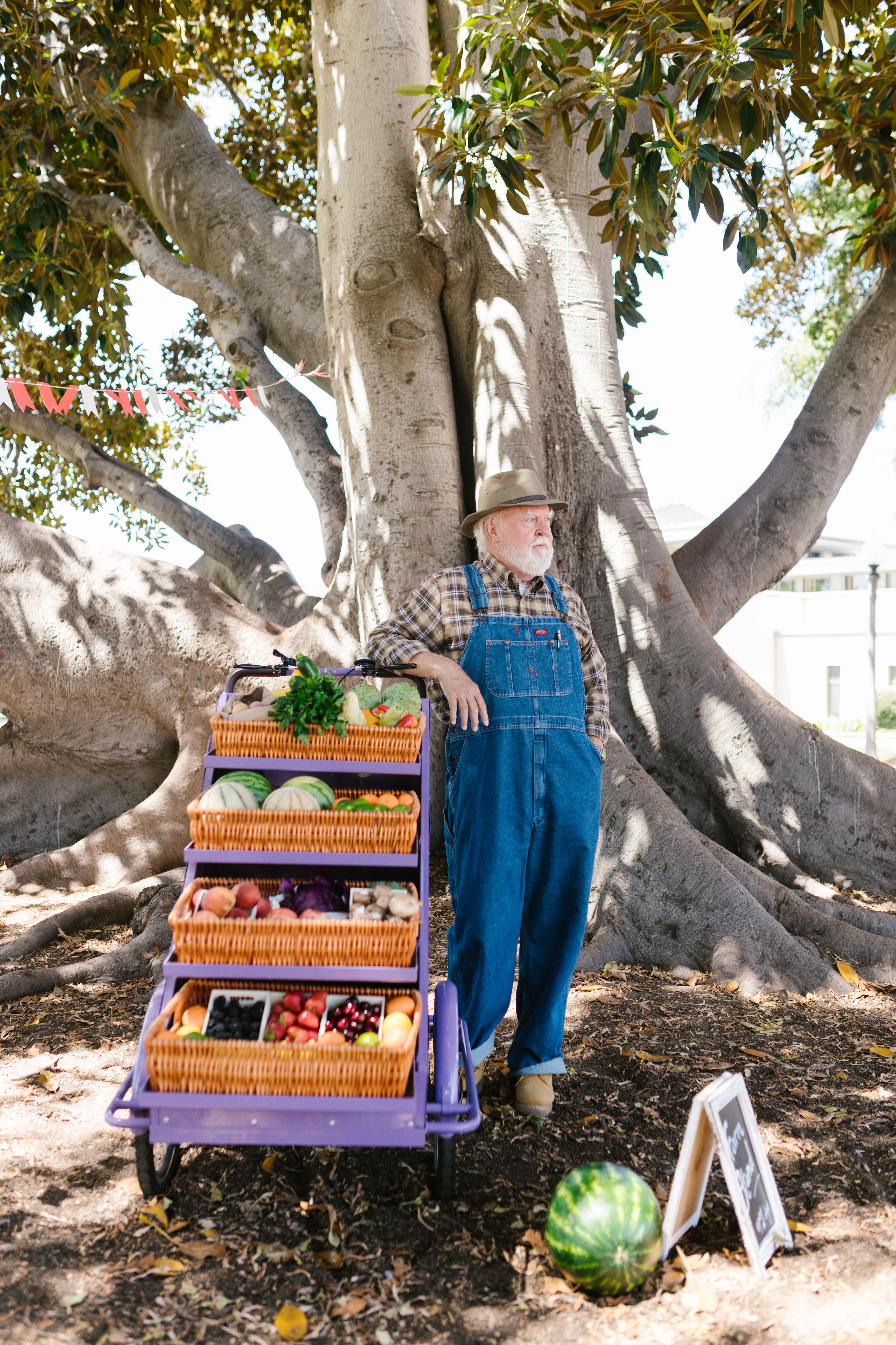 Photo gratuite de âgé, agriculteur, arbre, barbu, caddie, chapeau ...