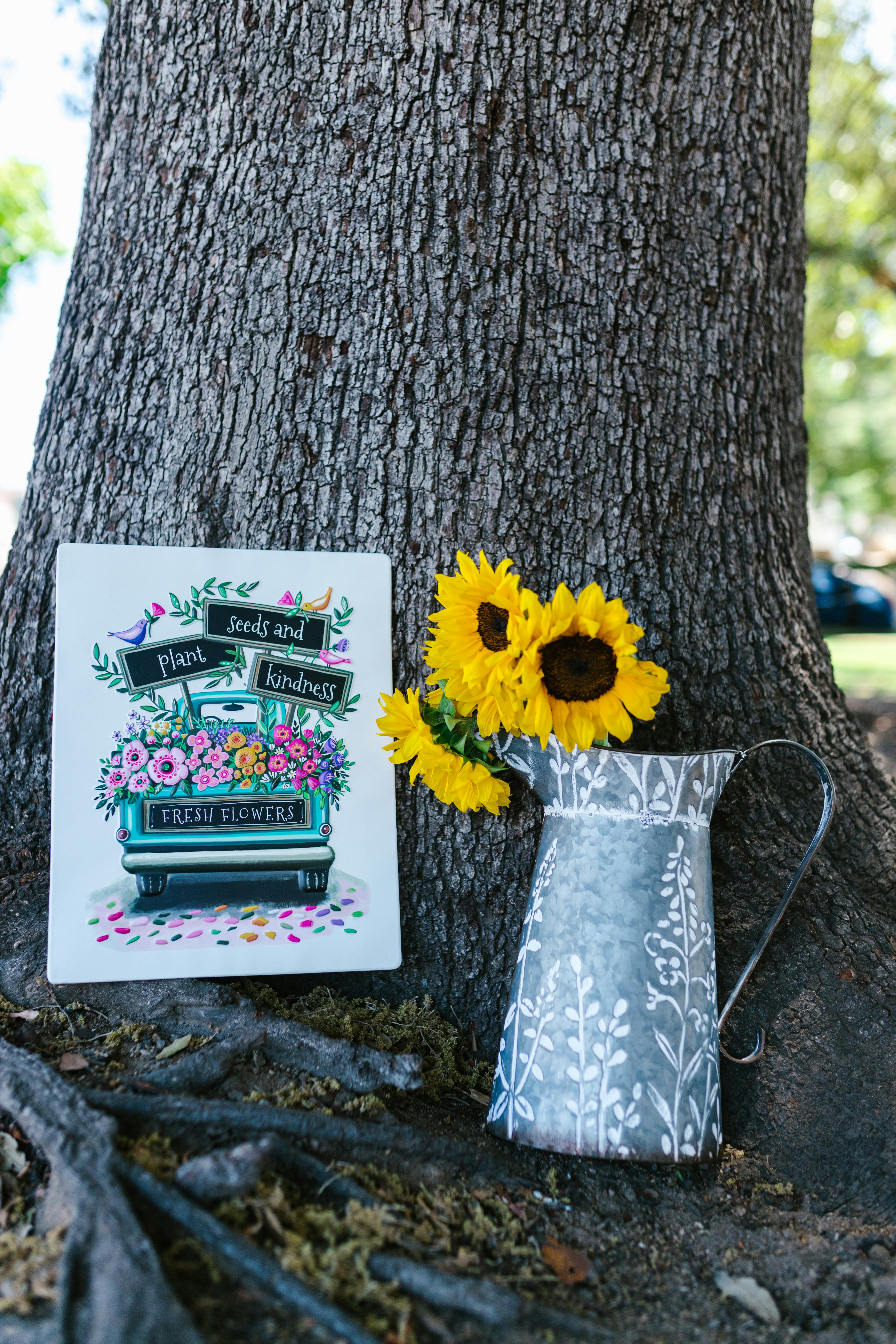 Parking Pot Photos, Download The BEST Free Parking Pot Stock Photos ...