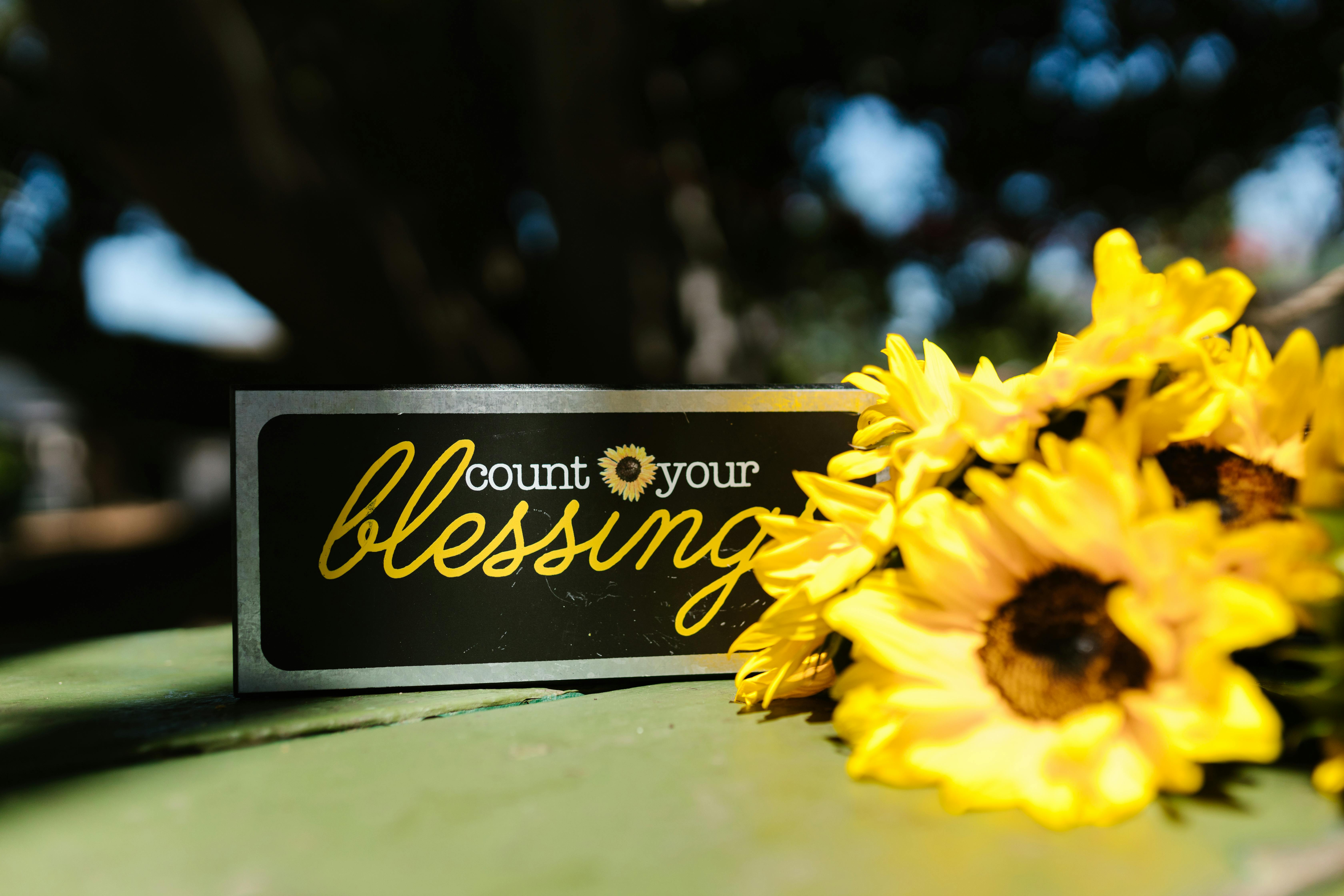 Sign Up Table Photos, Download The BEST Free Sign Up Table Stock Photos ...