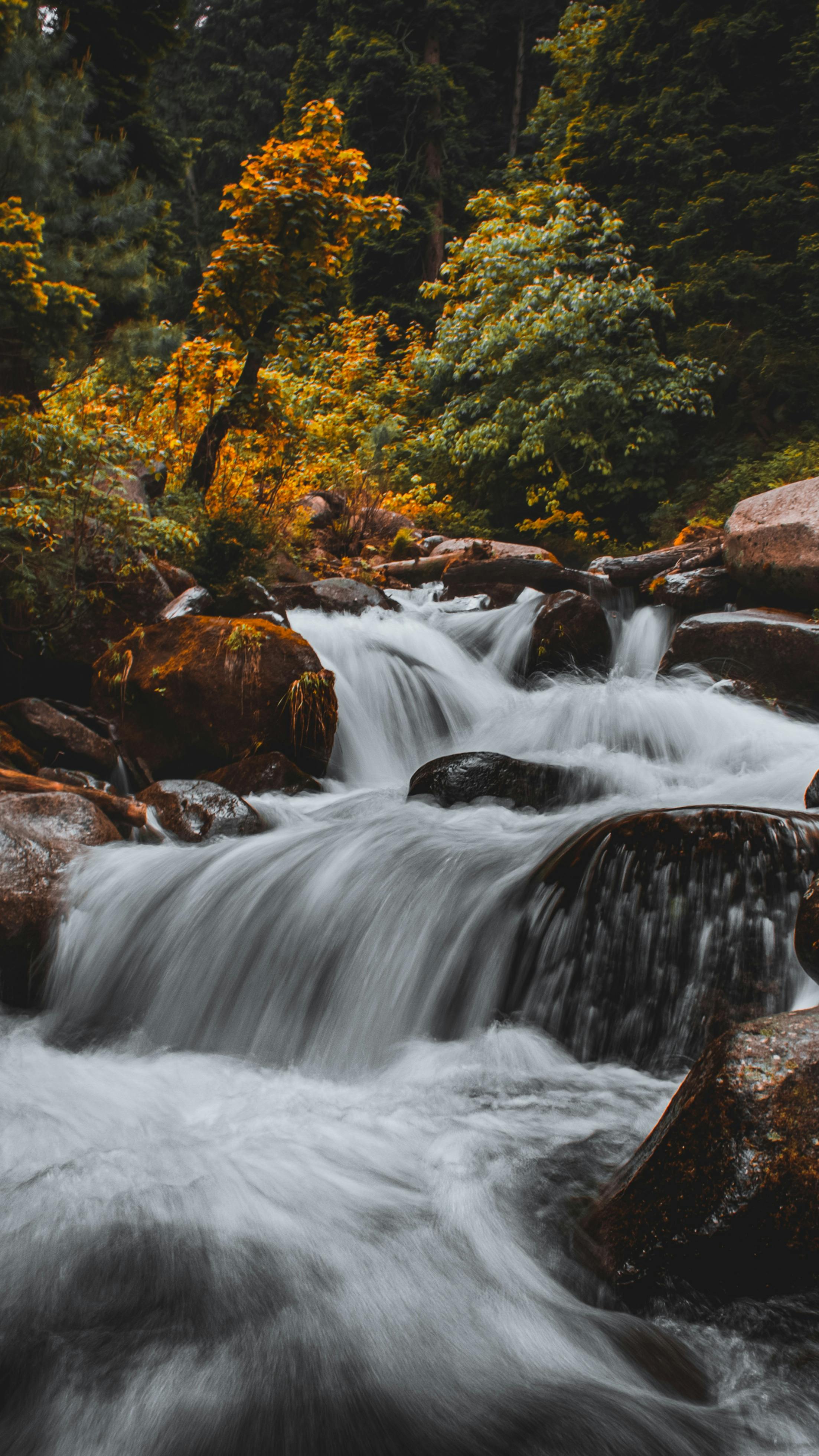Water Flowing on a Rocky River · Free Stock Photo