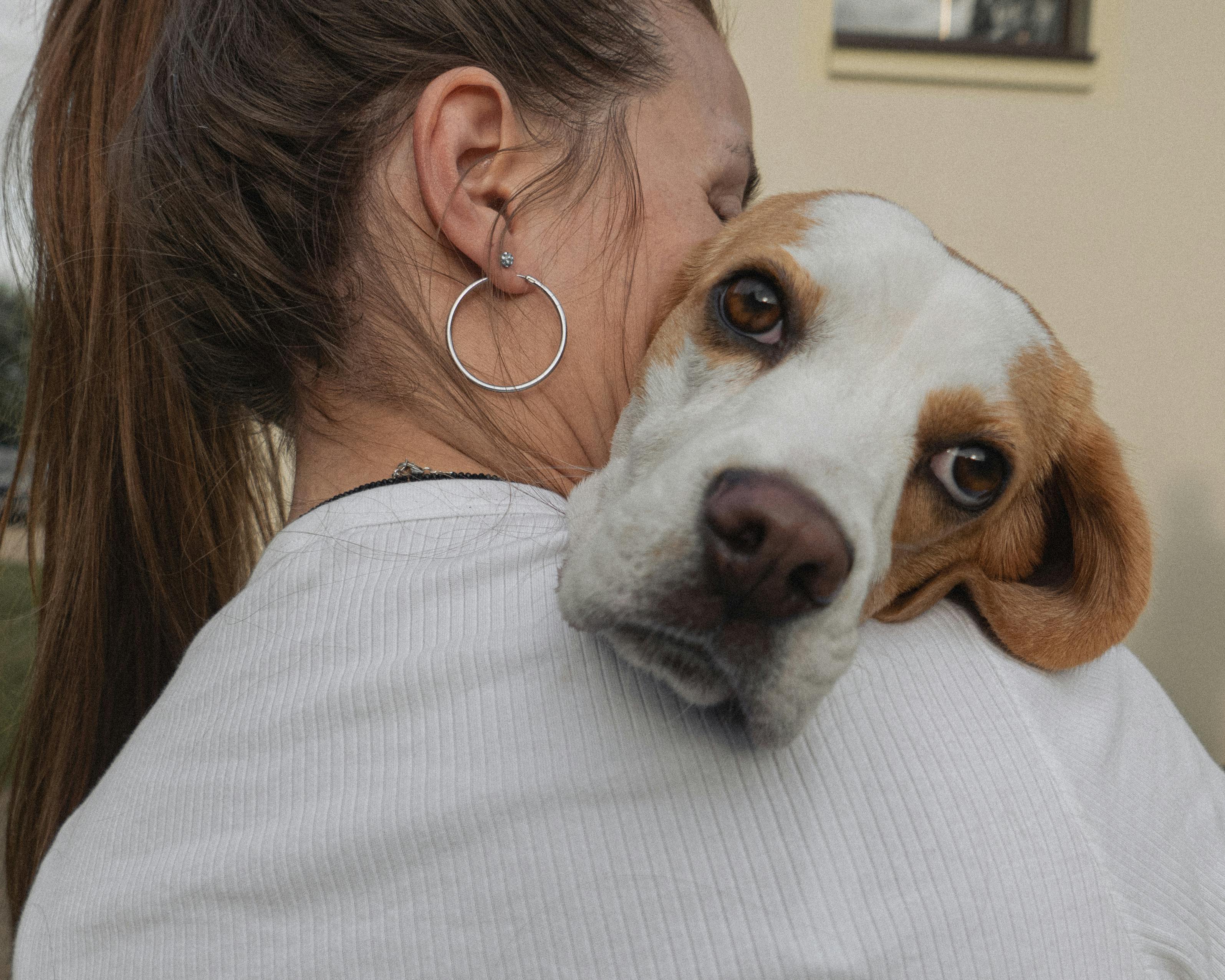 Man Sitting on the Floor while Hugging a Dog · Free Stock Photo