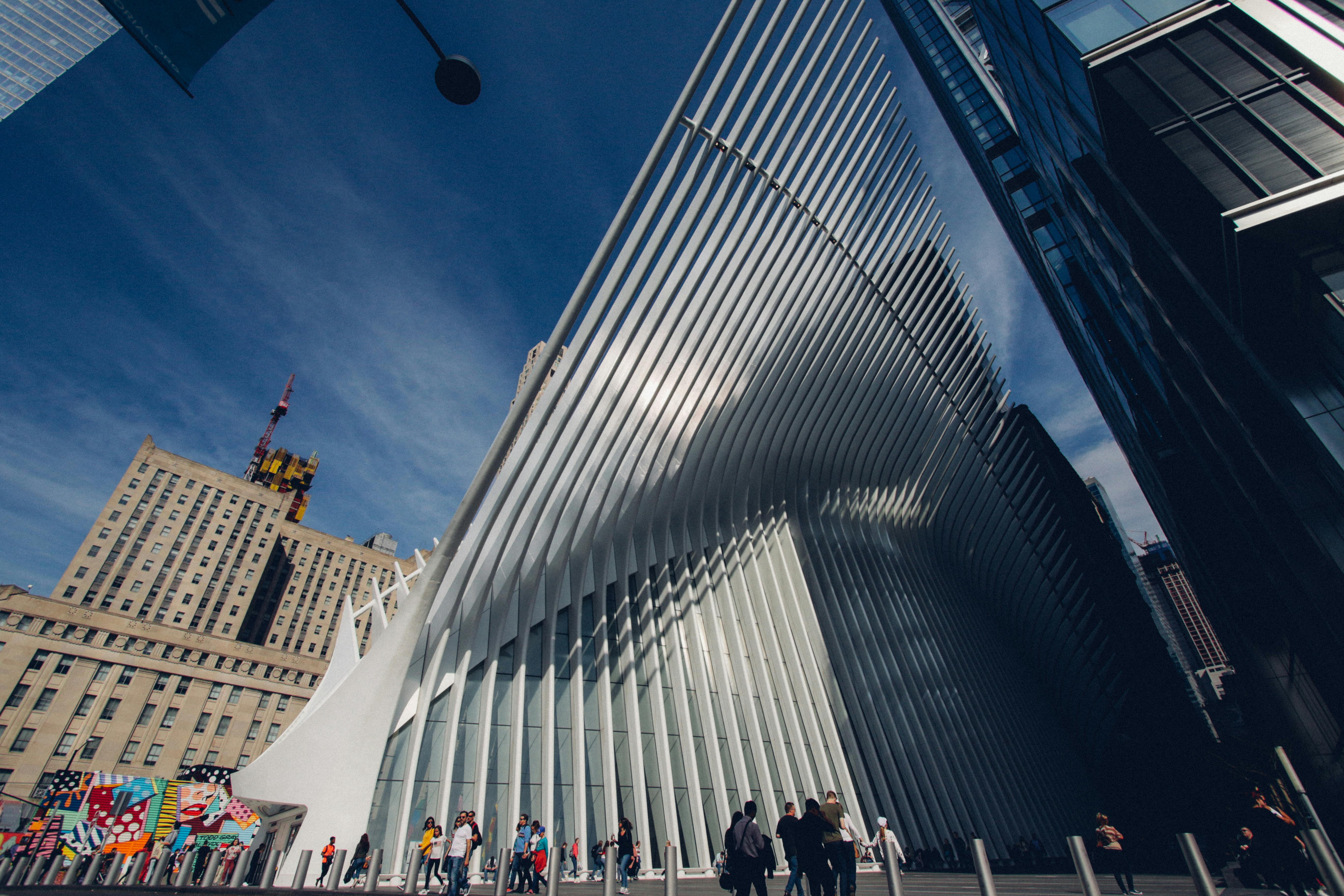 Man Looking At Buildings · Free Stock Photo
