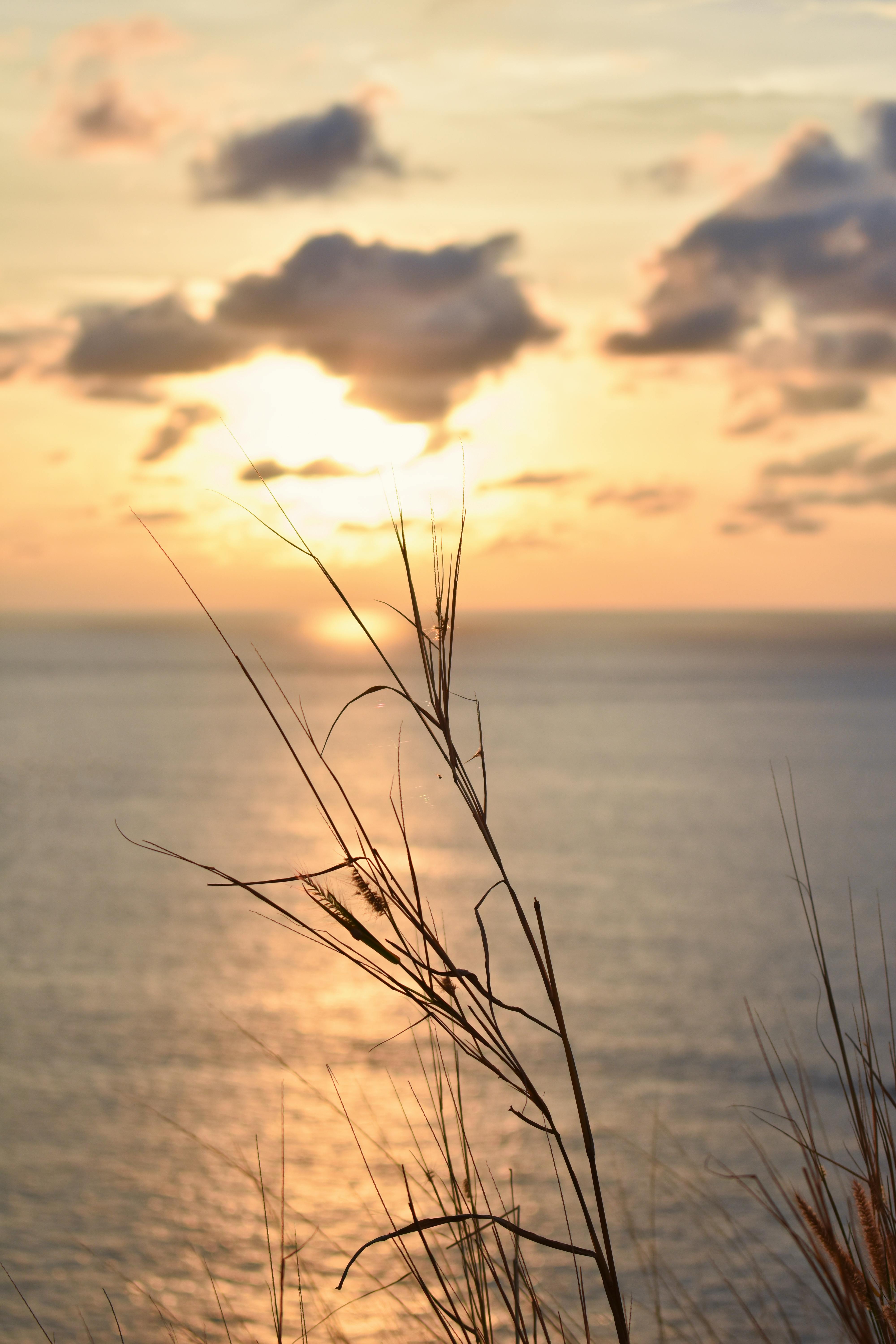 Nao xotl - Photography