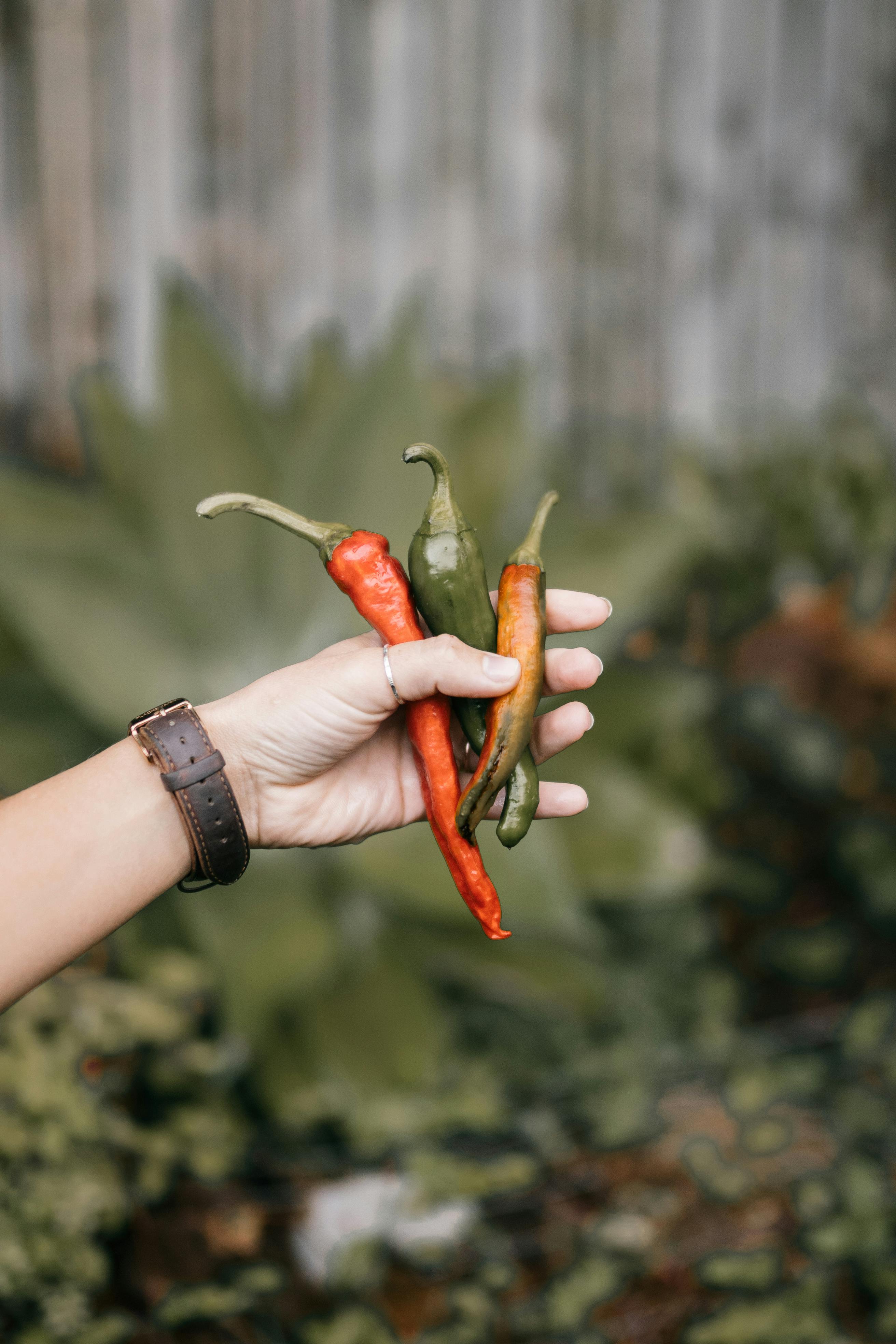 50,000+ Best Green Geode Photos · 100% Free Download · Pexels Stock Photos