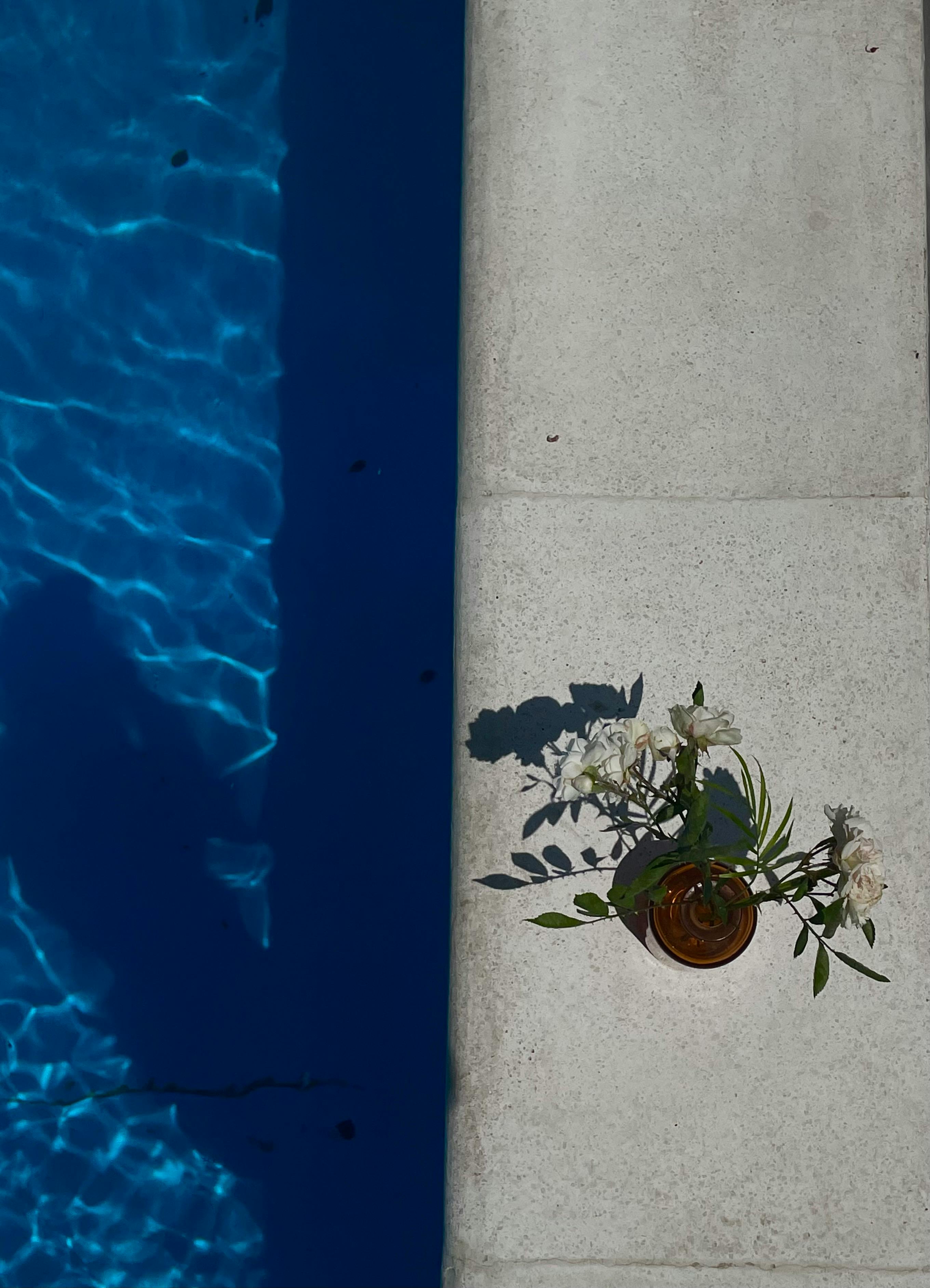 Transparent Water in Swimming Pool · Free Stock Photo