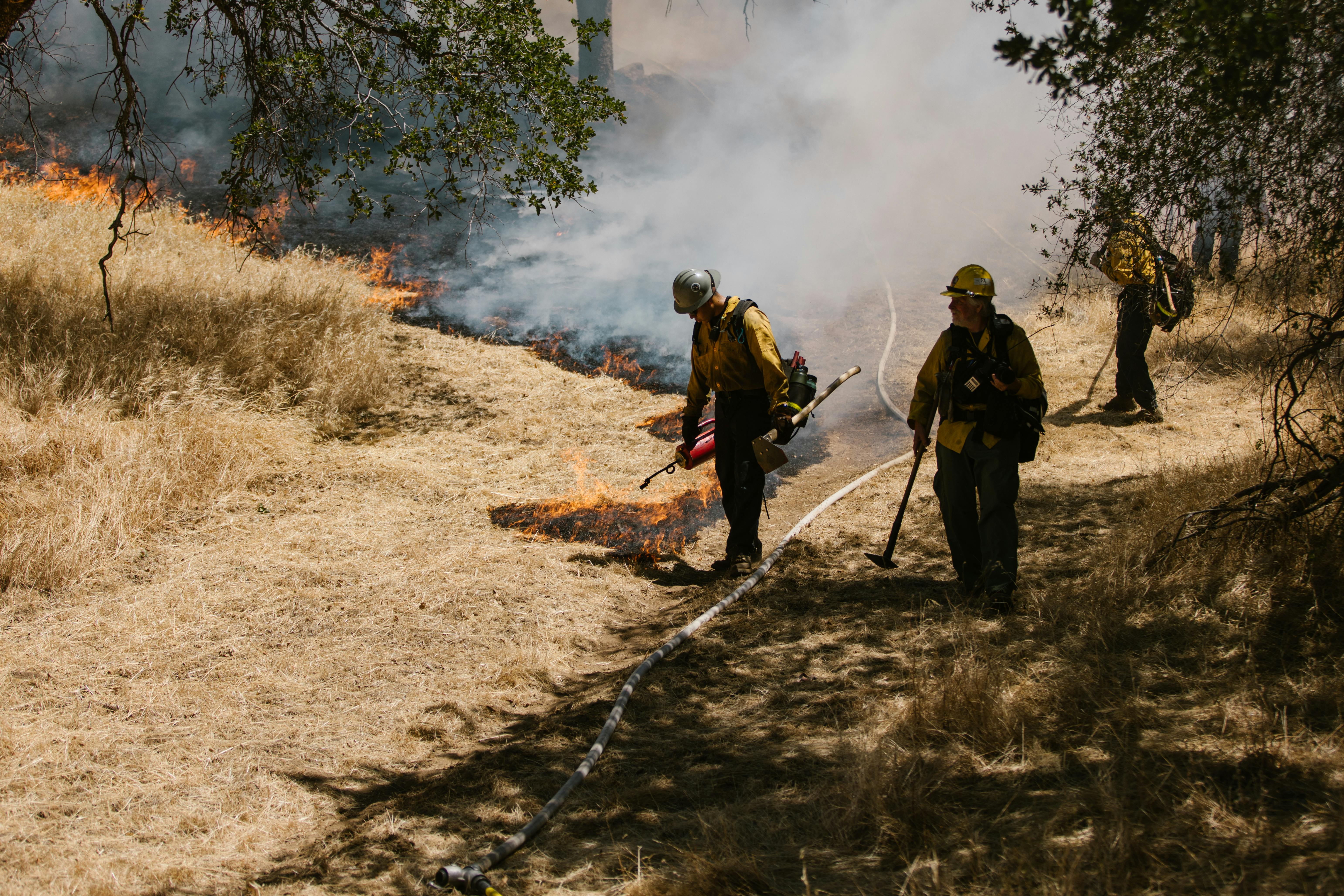 Cal Fire Photos, Download The BEST Free Cal Fire Stock Photos & HD Images