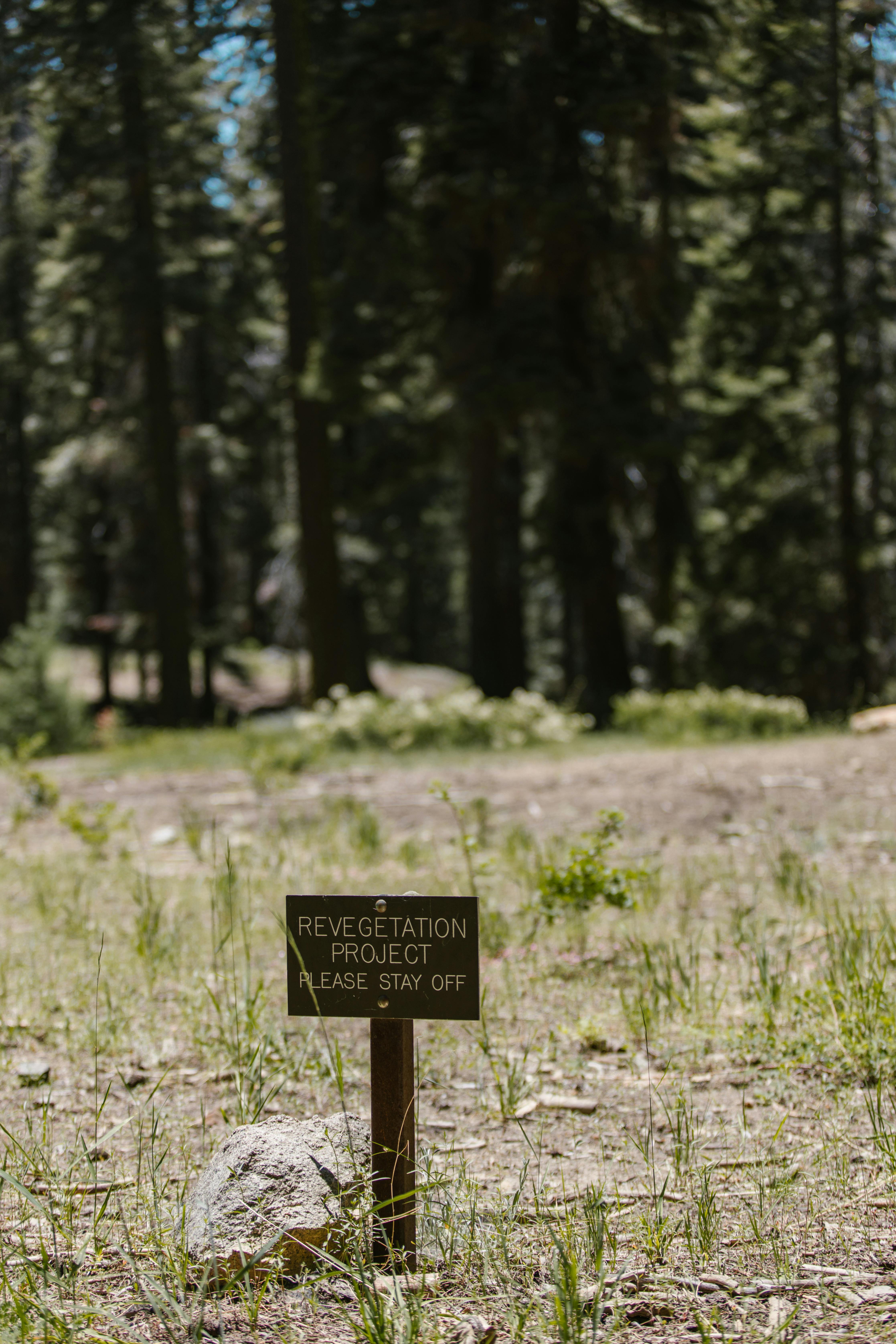 Revegetation Photos, Download The BEST Free Revegetation Stock Photos ...