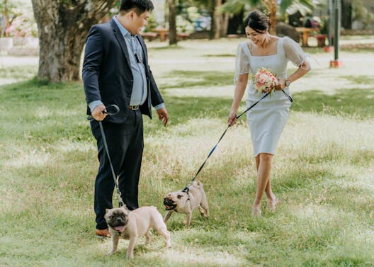 Adopting Pets Alive Dogs Benefits Them and Our Society