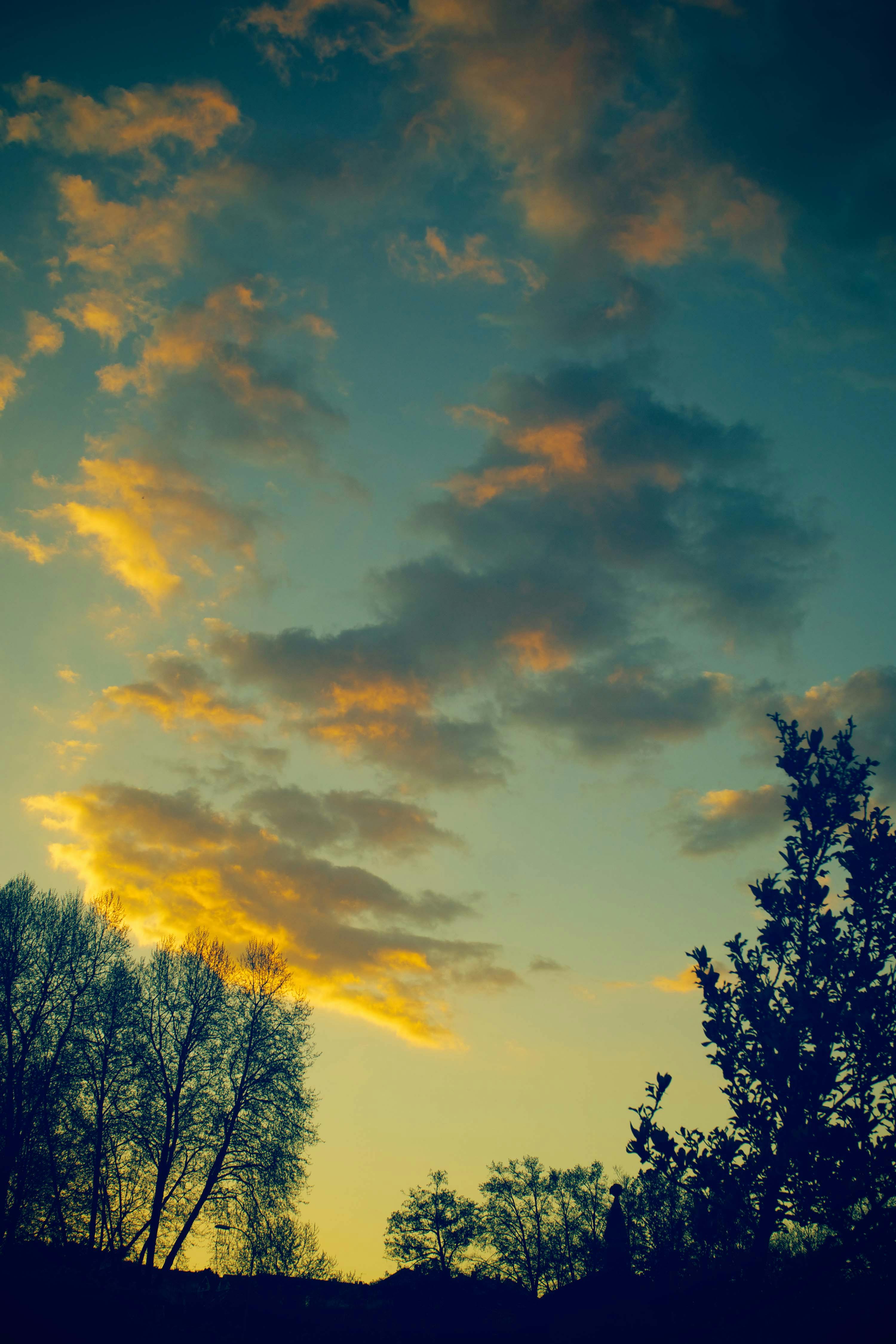 Asm Arif - Photography