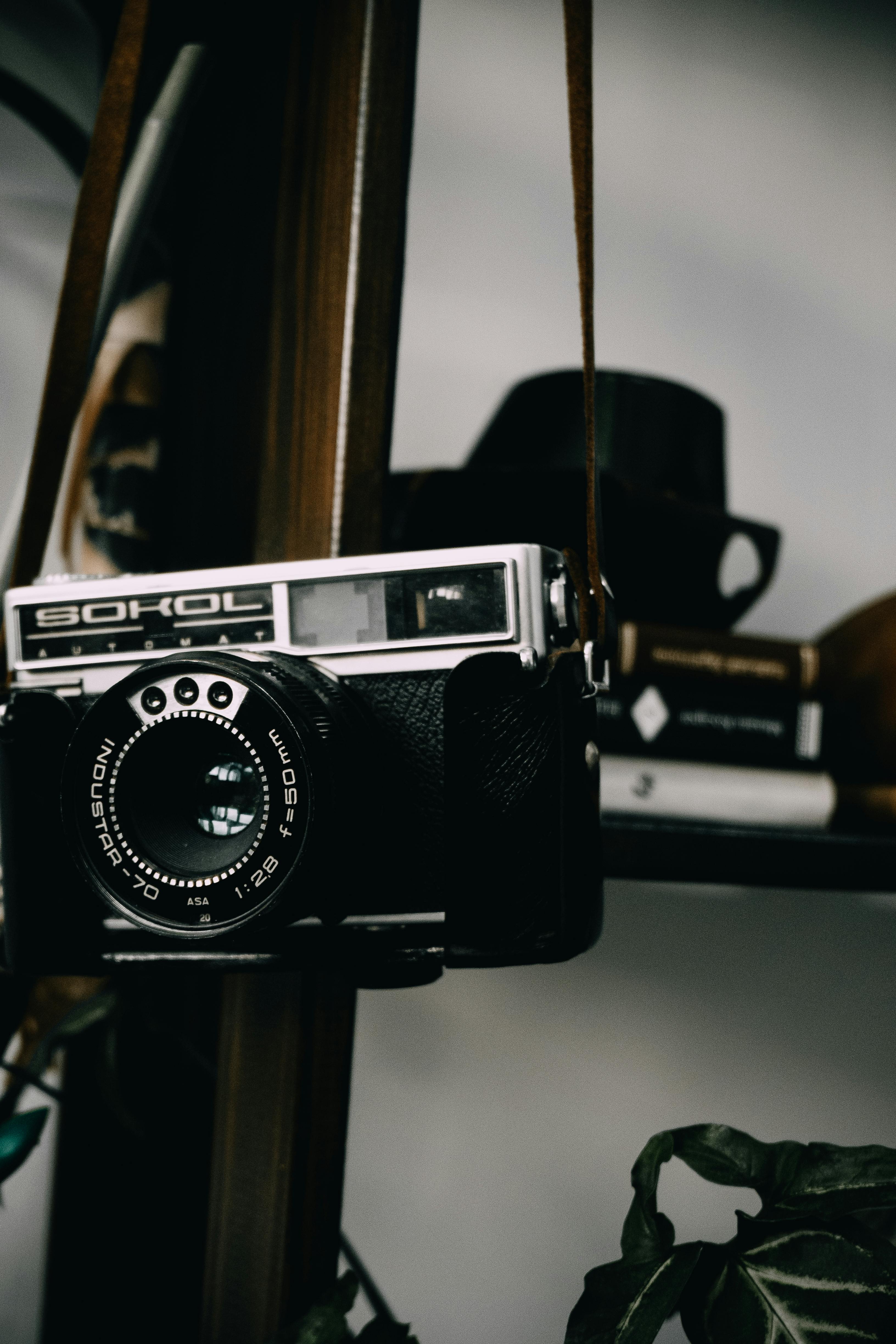 Free stock photo of analog, antique, art, brass, cactus, camera photos ...