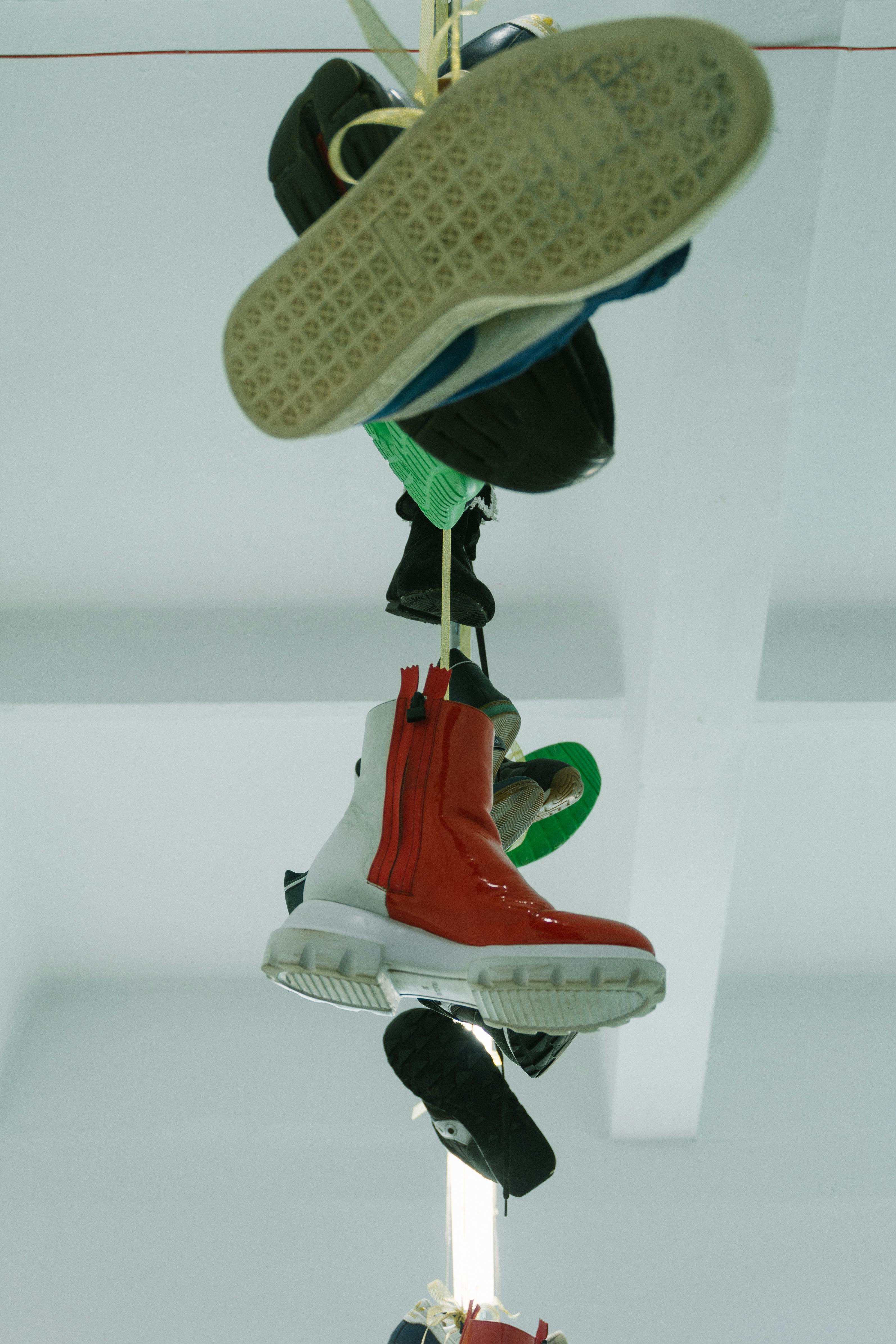 Variety of Sneakers on Display · Free Stock Photo