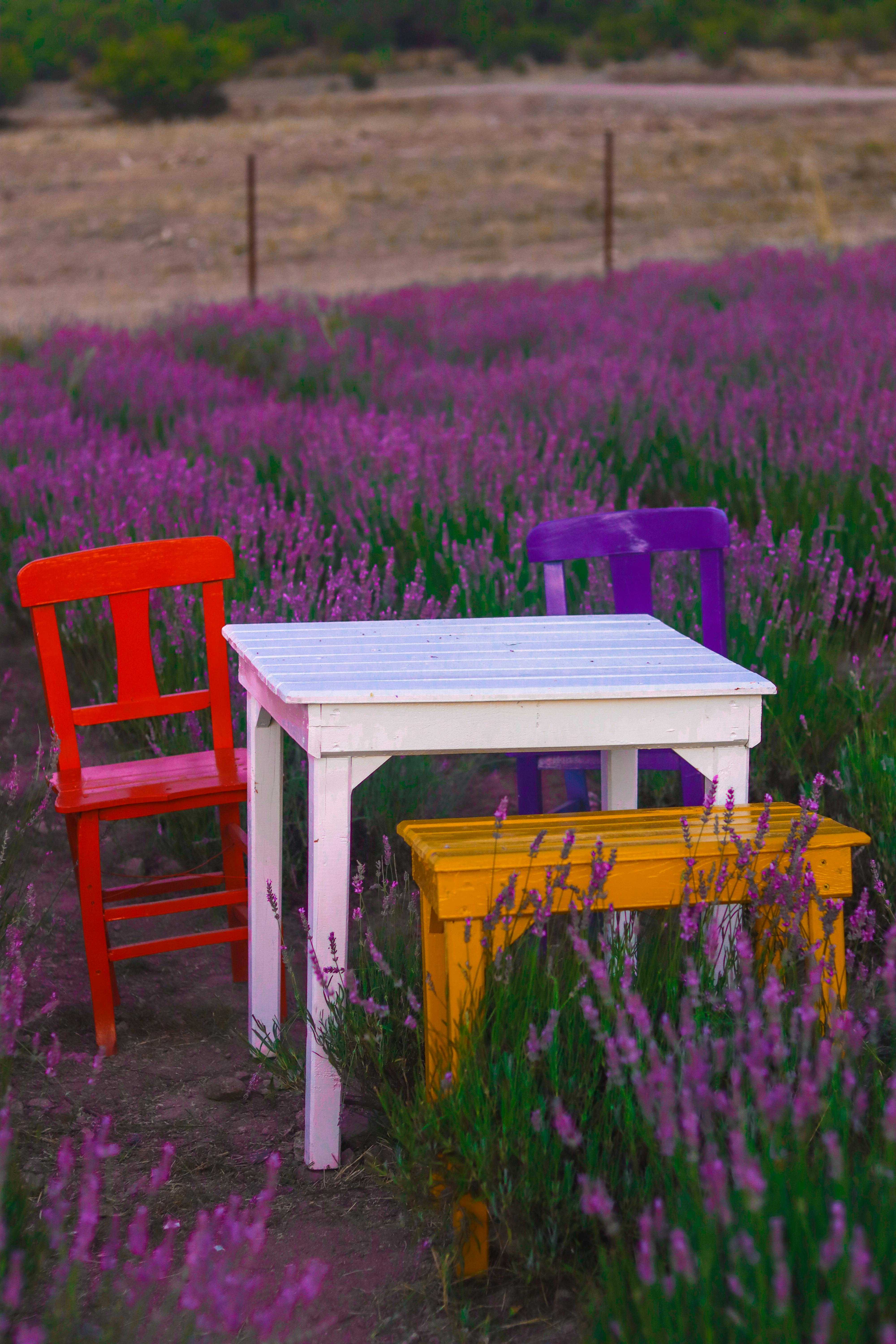 Multi Colored Wooden Furniture Set on Lavender Field · Free Stock Photo