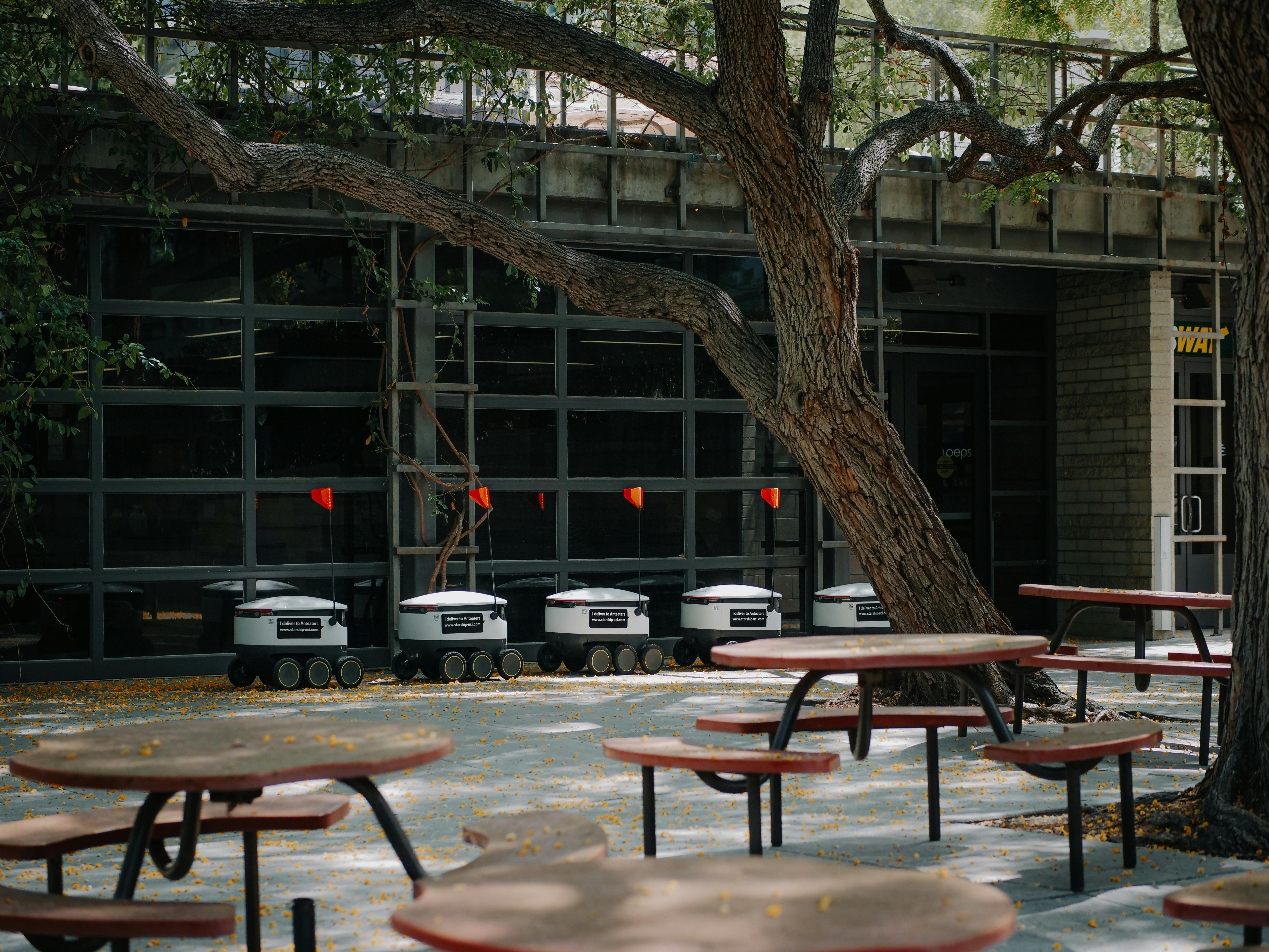 Ảnh có sẵn miễn phí về bàn ăn uống, ban ngày, băng ghế, bóng cây, các ...