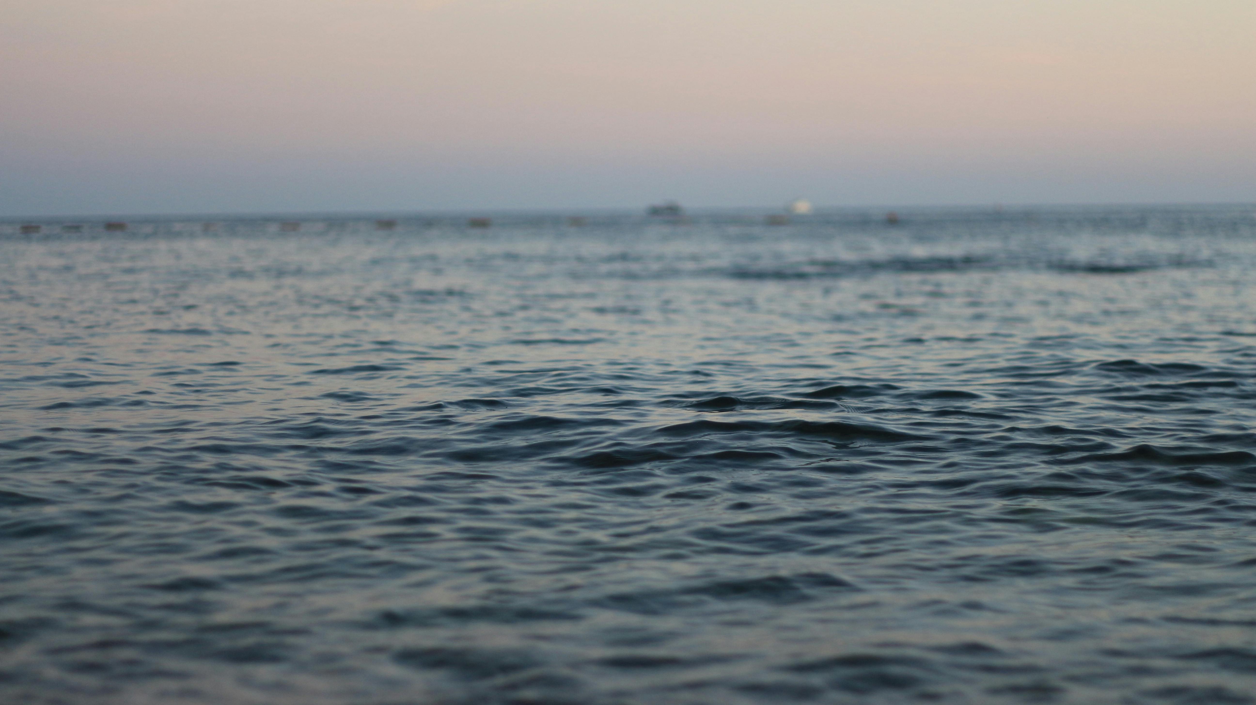 Crno Sive Slike Photos, Download The BEST Free Crno Sive Slike Stock ...