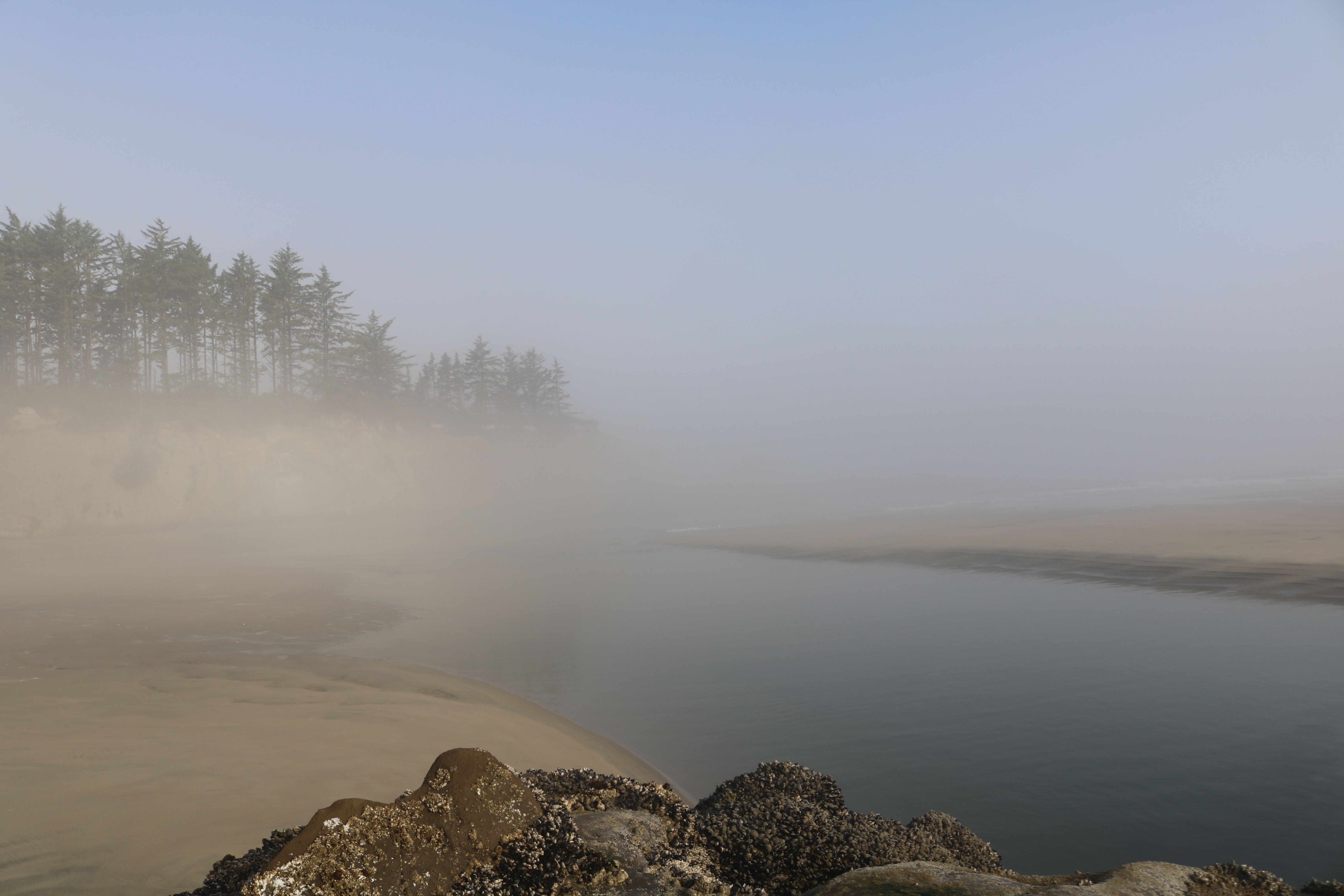 Sharp River Bank · Free Stock Photo