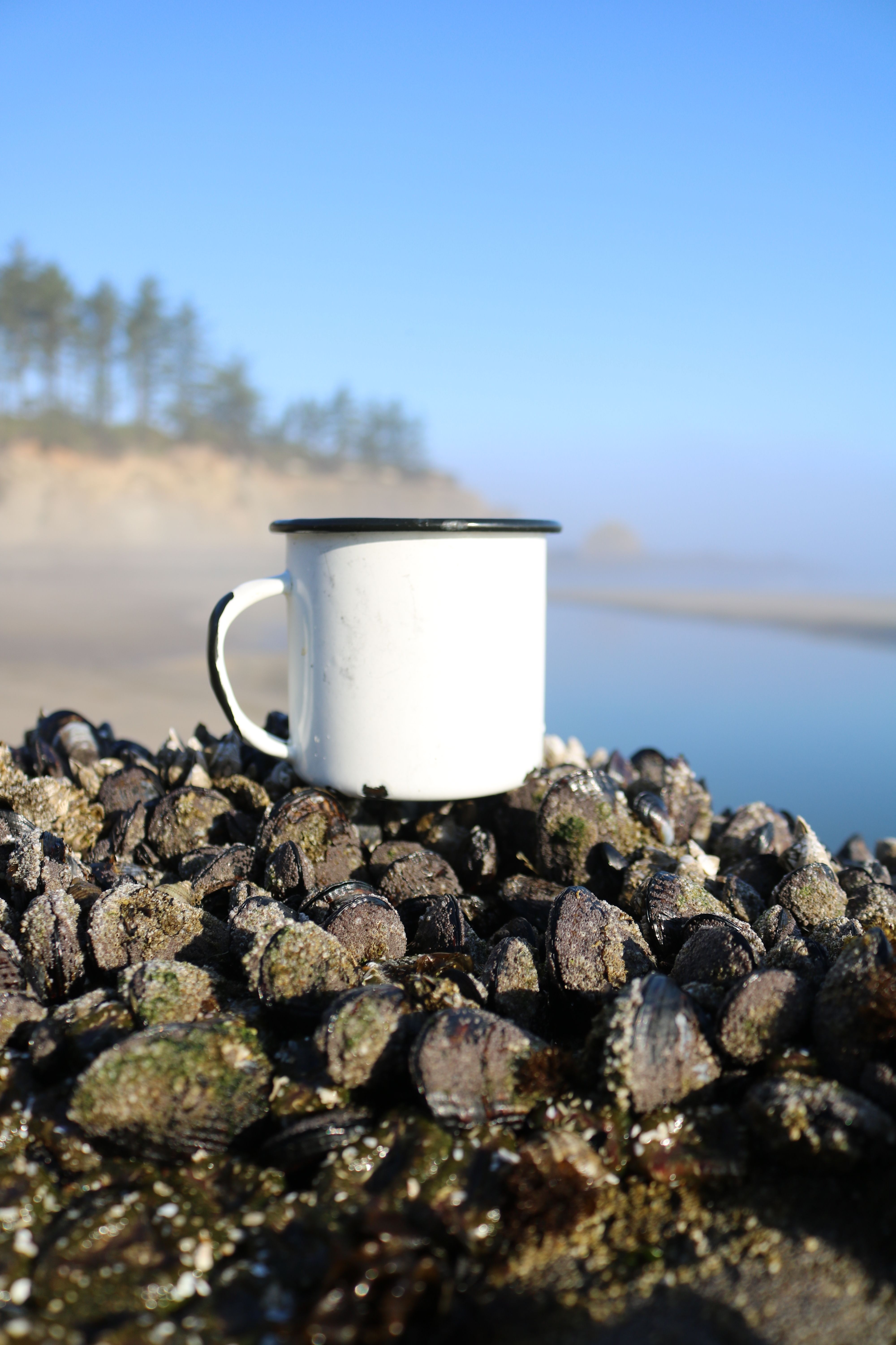Beach Mug Photos, Download The BEST Free Beach Mug Stock Photos & HD Images
