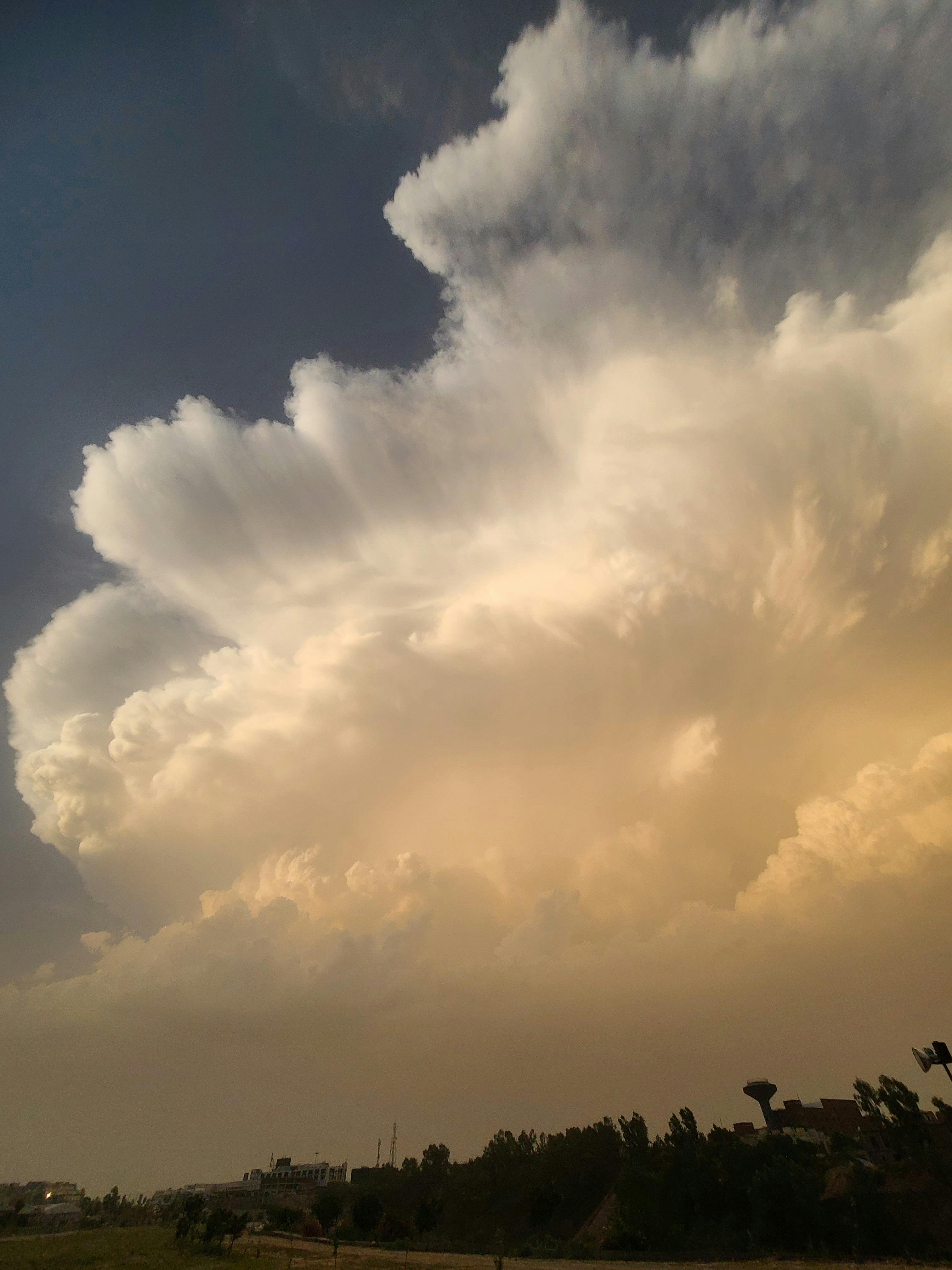 Hamza Jamil - 사진