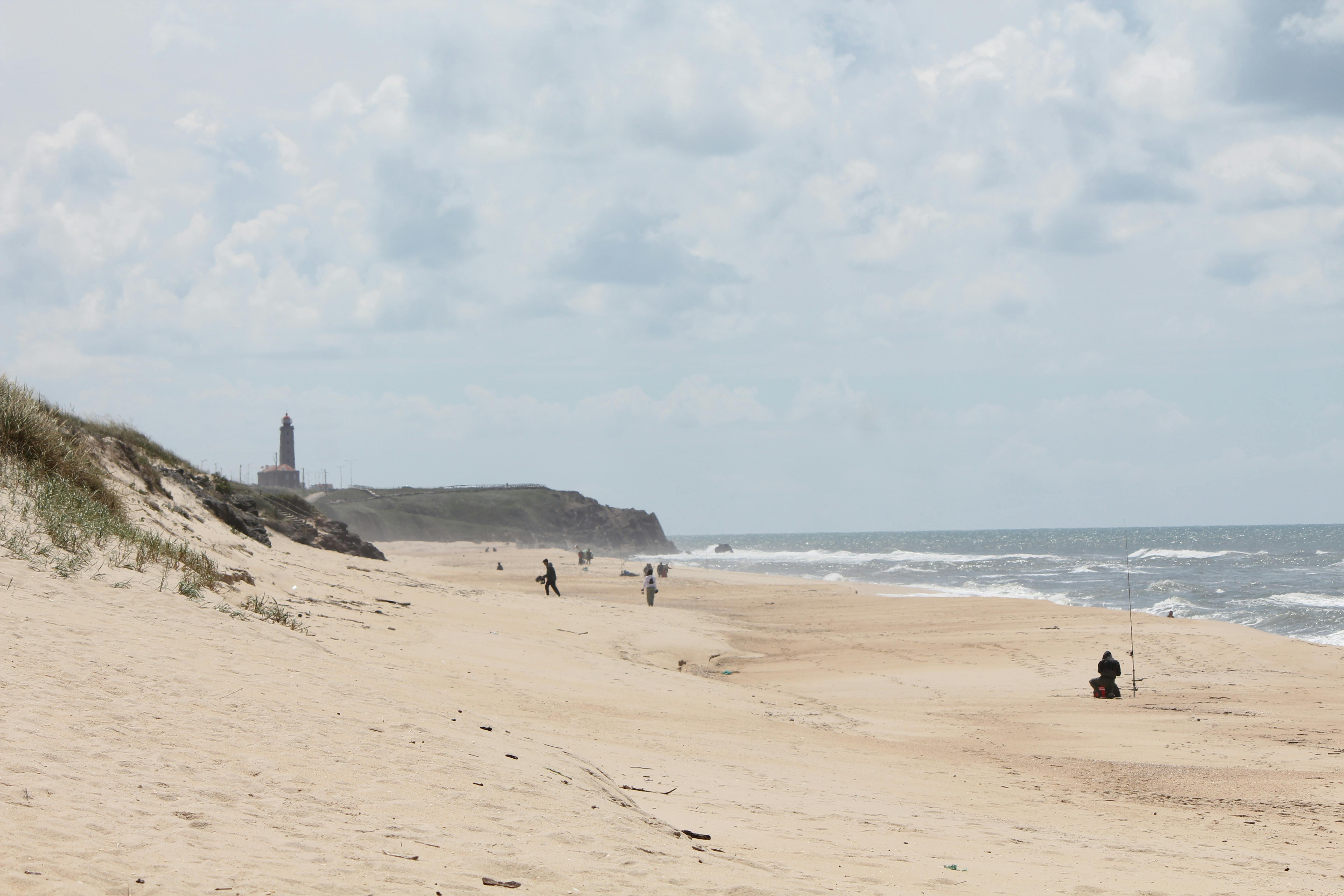 99+ Best Free Playa Stock Photos & Images · 100% Royalty-Free HD Downloads