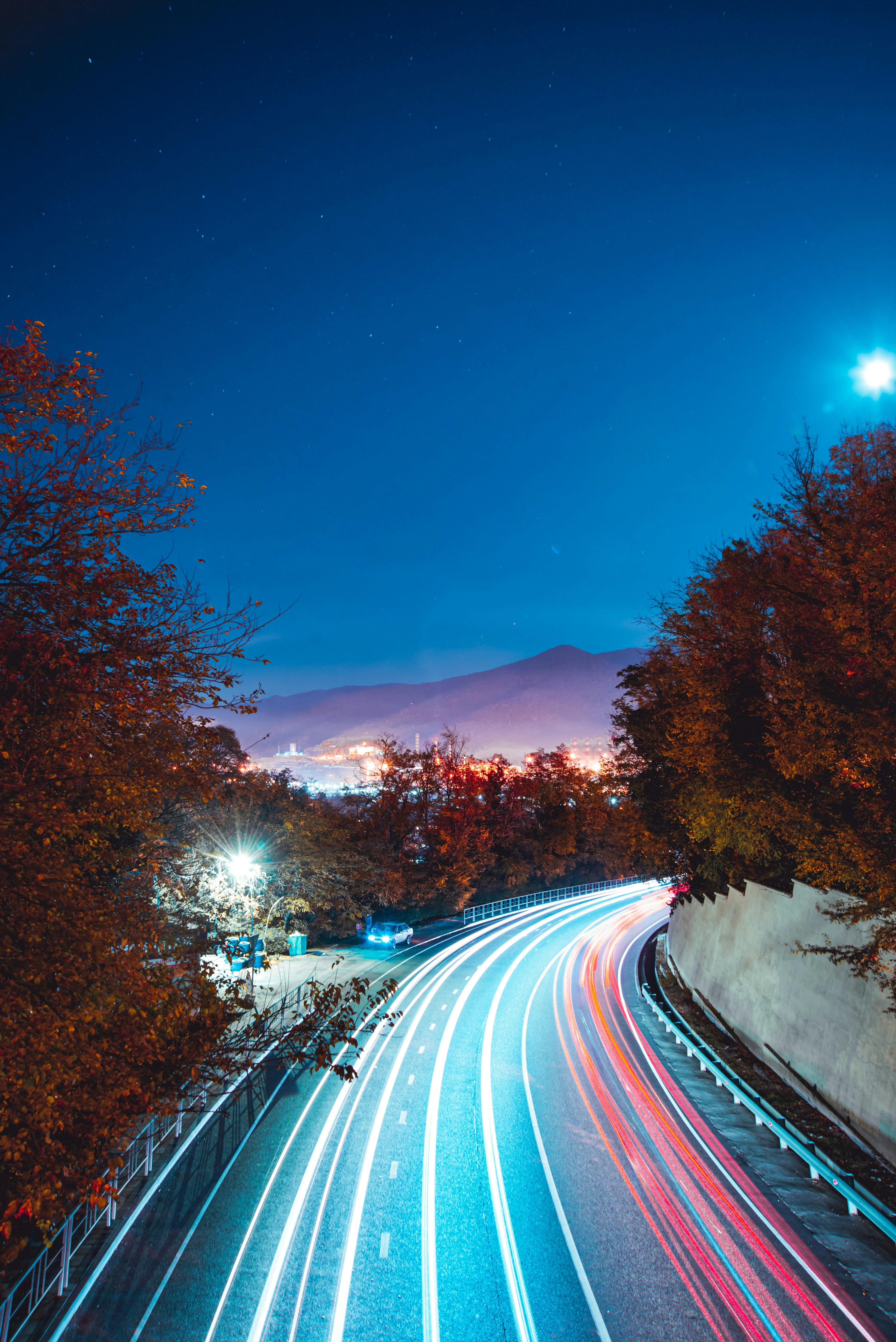100,000+ Best Tree Line Photos · 100% Free Download · Pexels Stock Photos