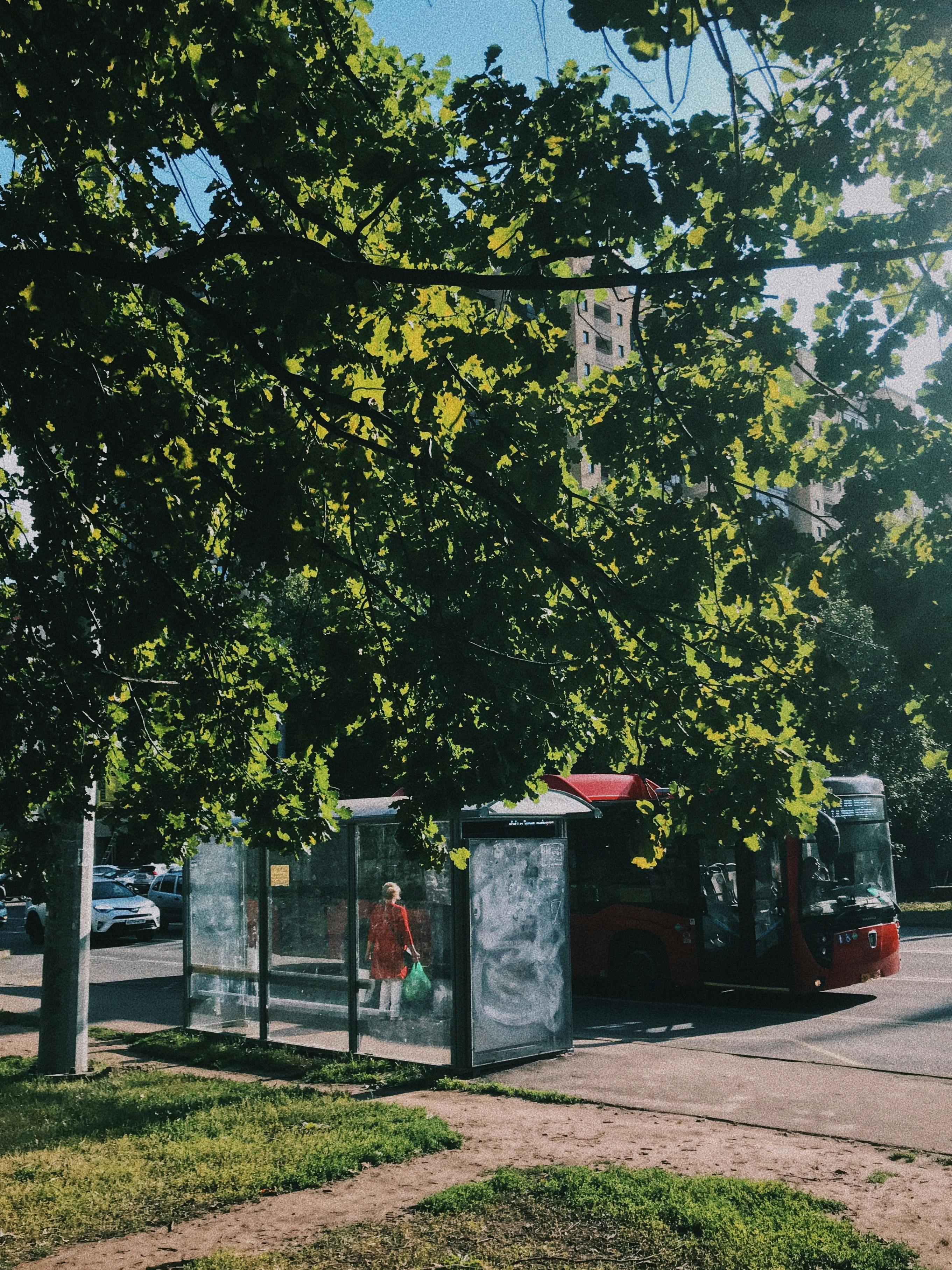Red Bus Near Bus Stop Behind Green Trees · Free Stock Photo