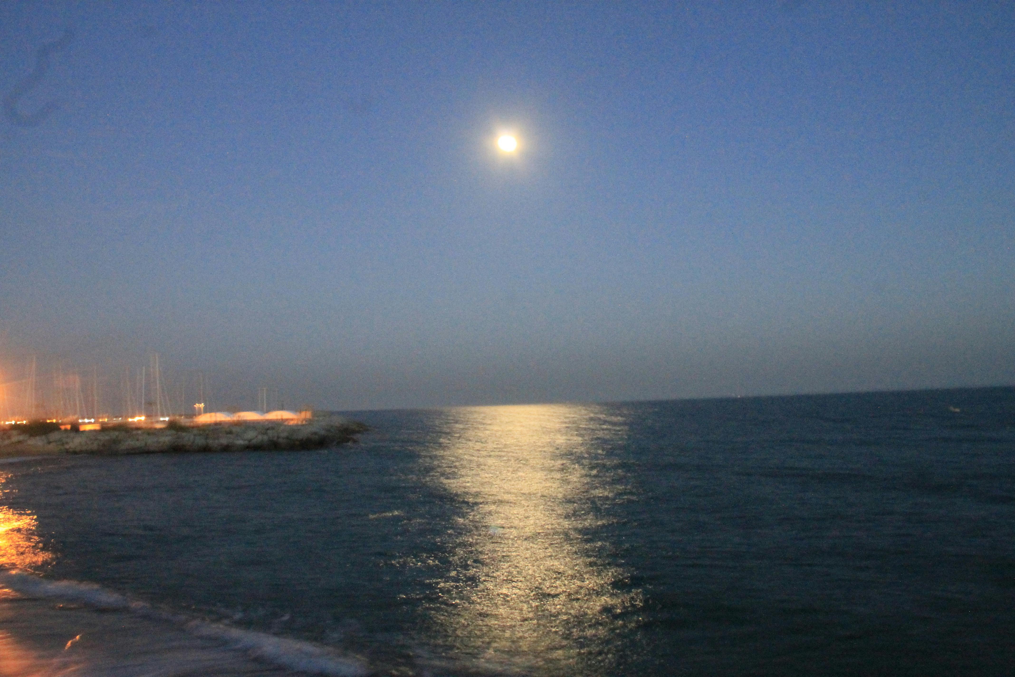 Jaime Ramirez - 写真