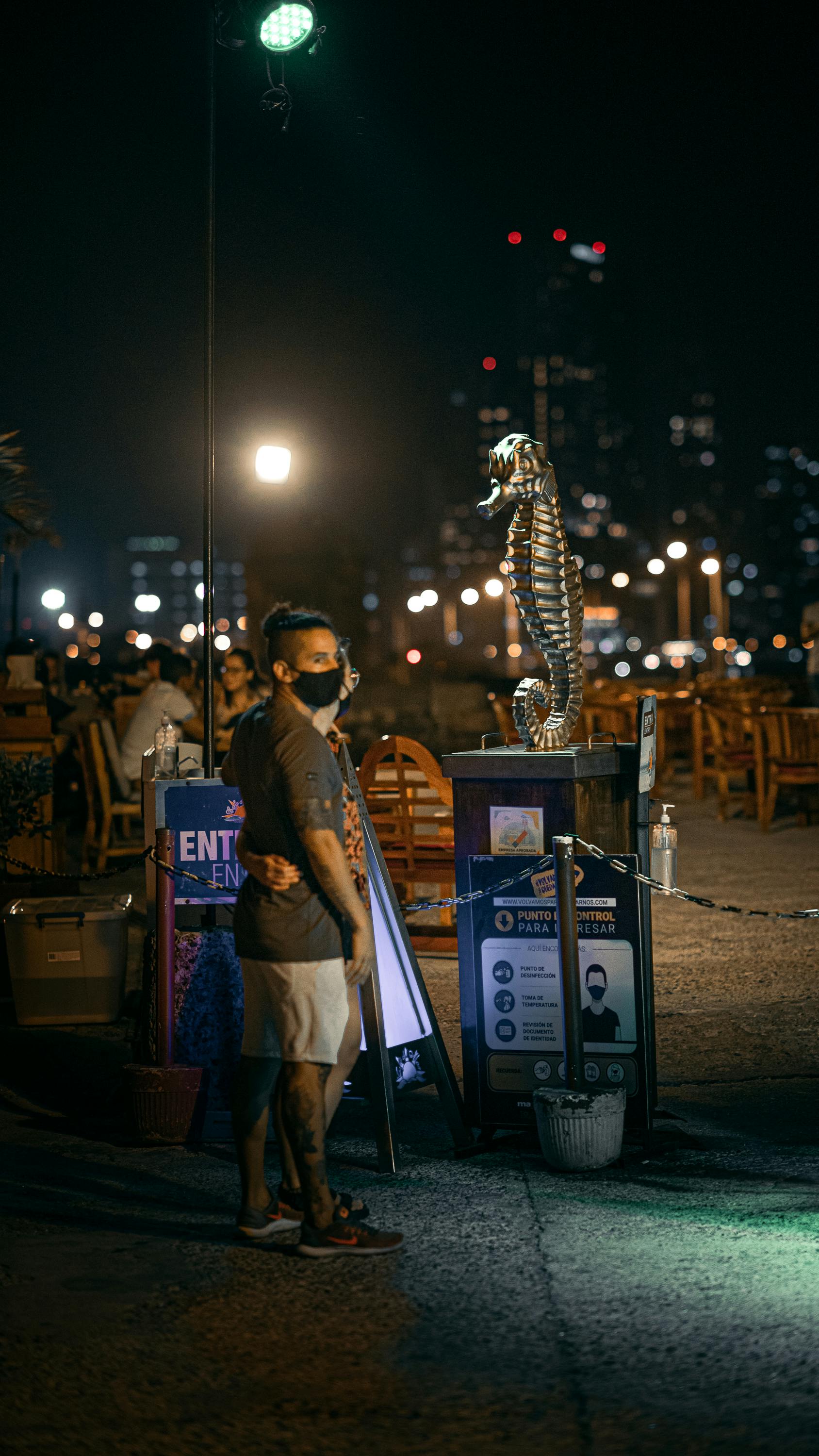 Ray Sanchez - 摄影