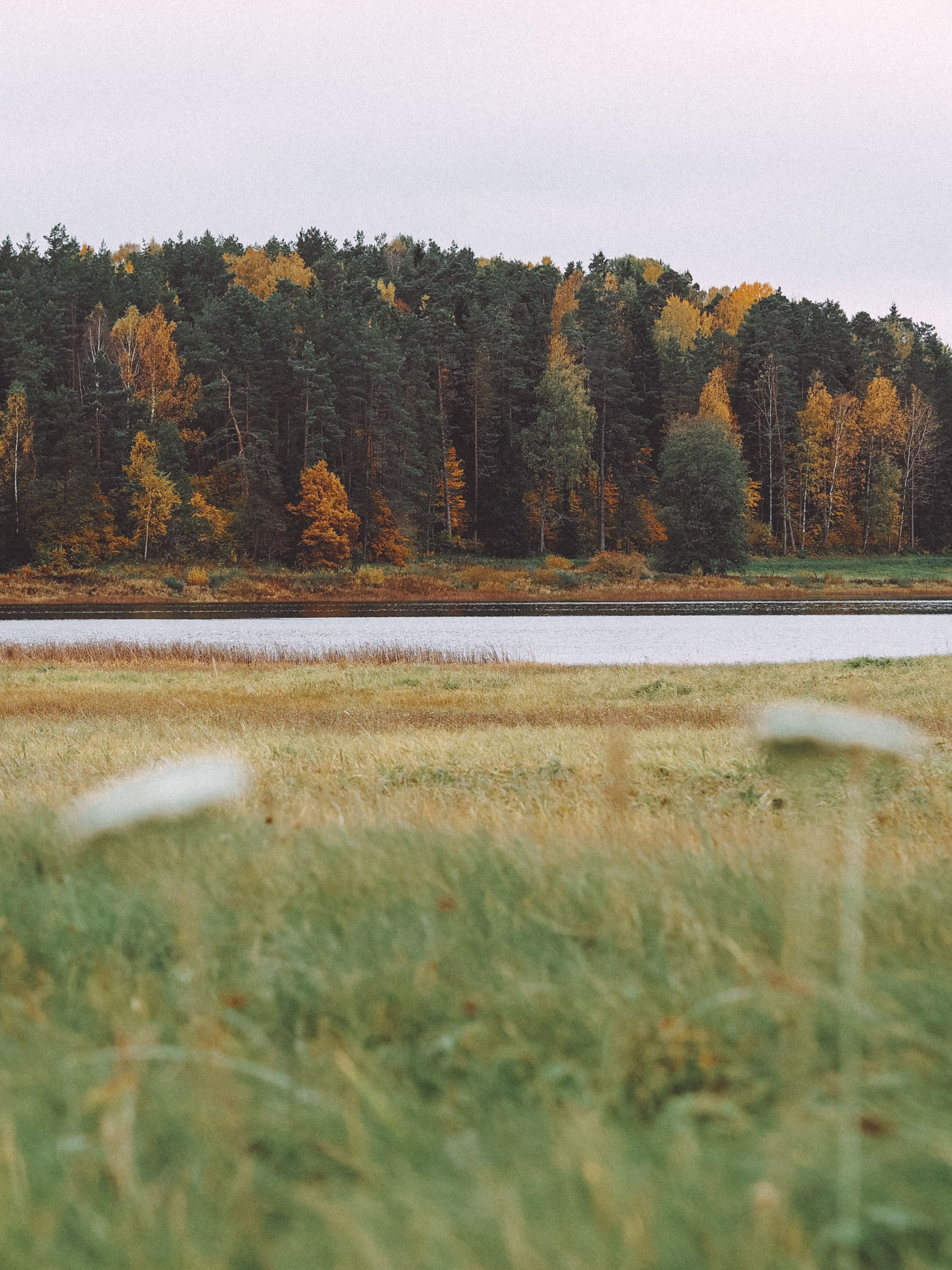 Green Grass Field Near the Lake · Free Stock Photo