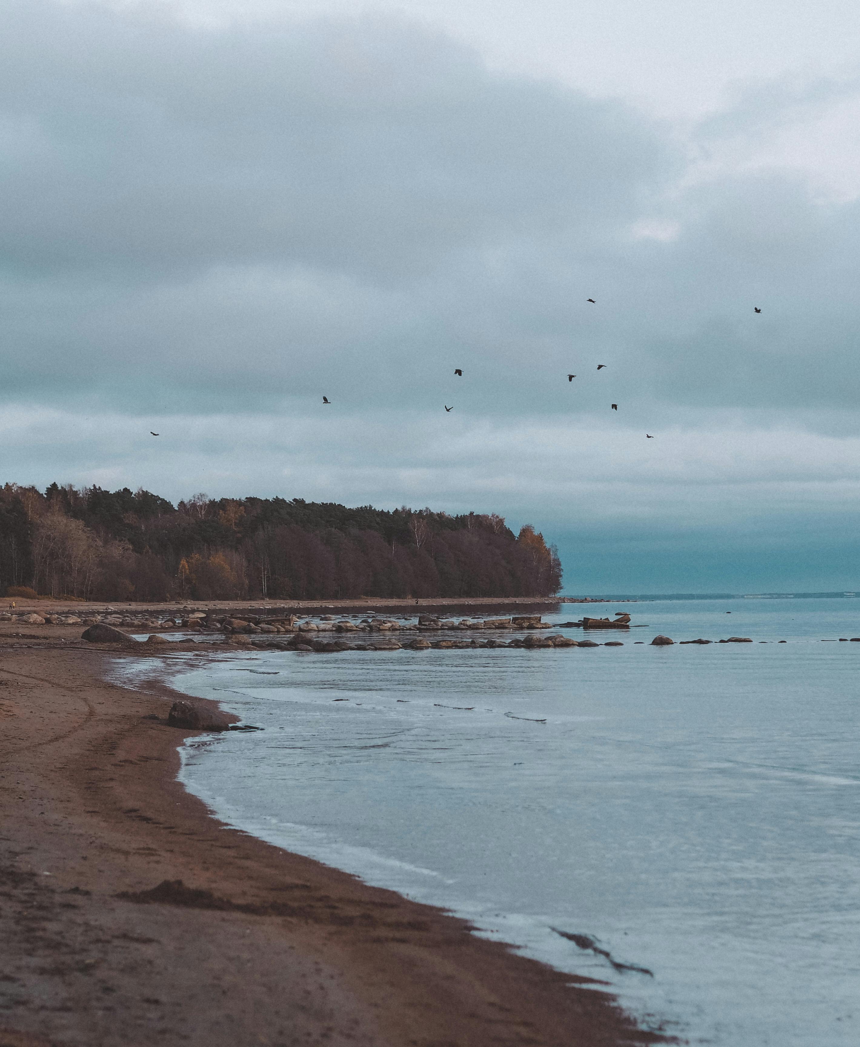 Small Rowboat with Flags Flying in Wind · Free Stock Photo