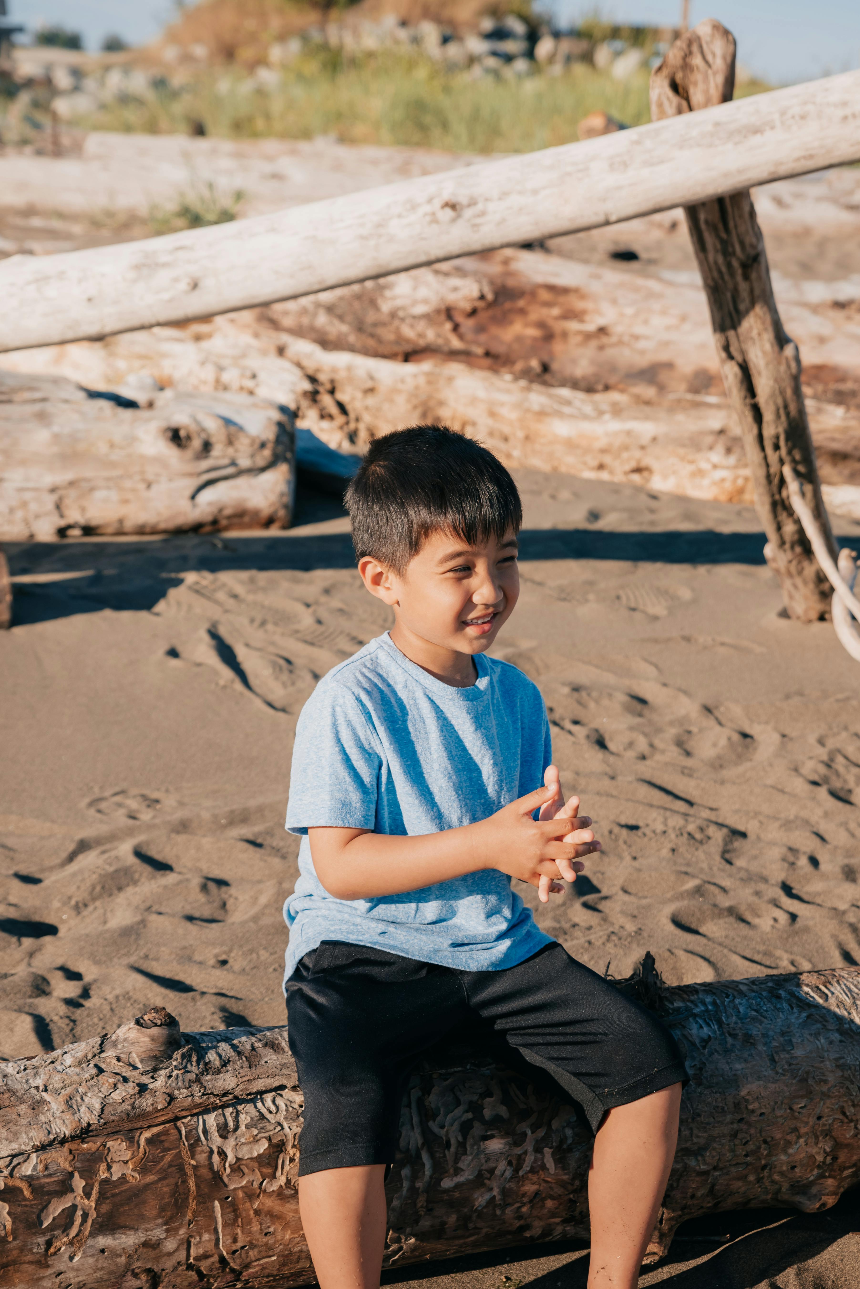 A Log T Photos, Download The BEST Free A Log T Stock Photos & HD Images