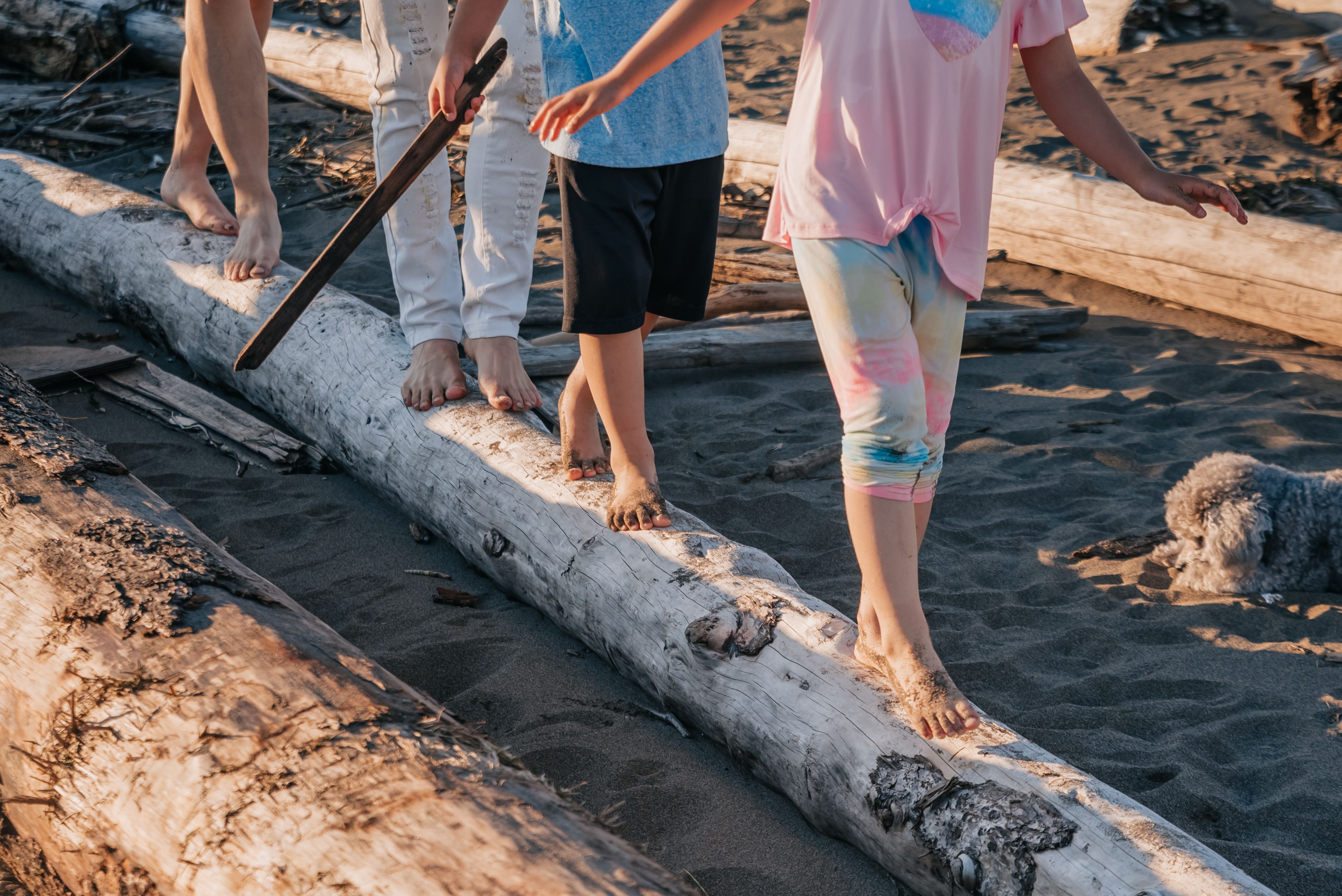 Children Walking On Logs Photos, Download The BEST Free Children ...