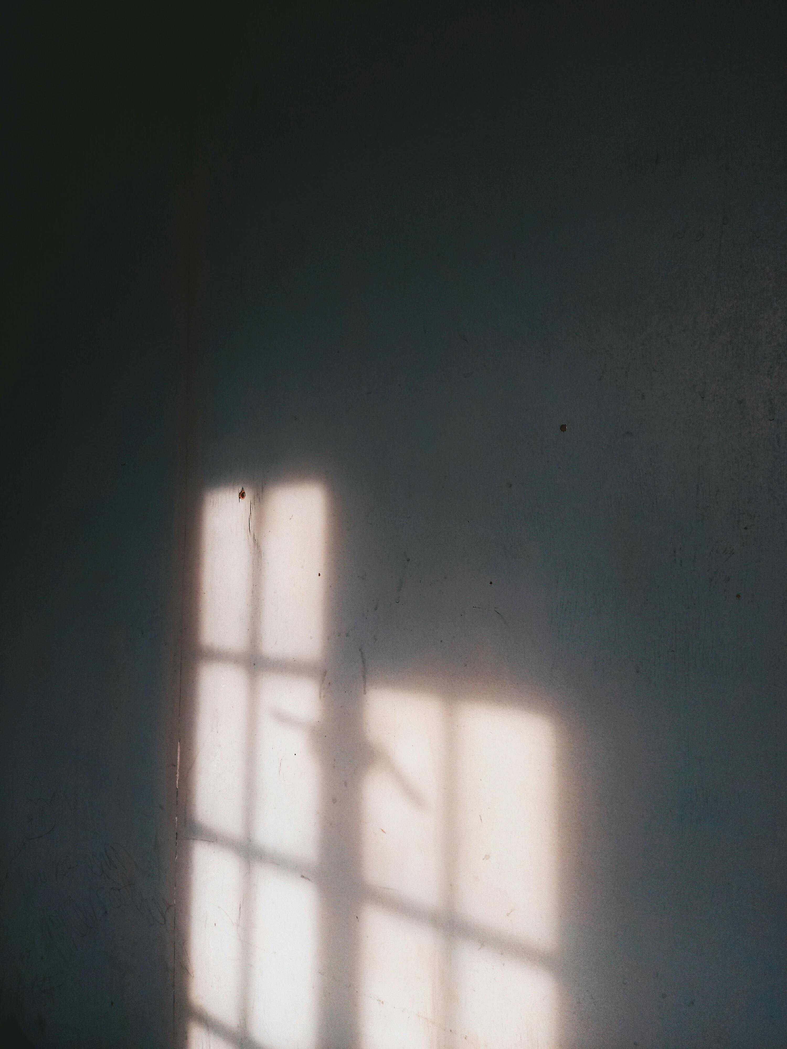 Shadow of a Window on the Concrete Wall · Free Stock Photo