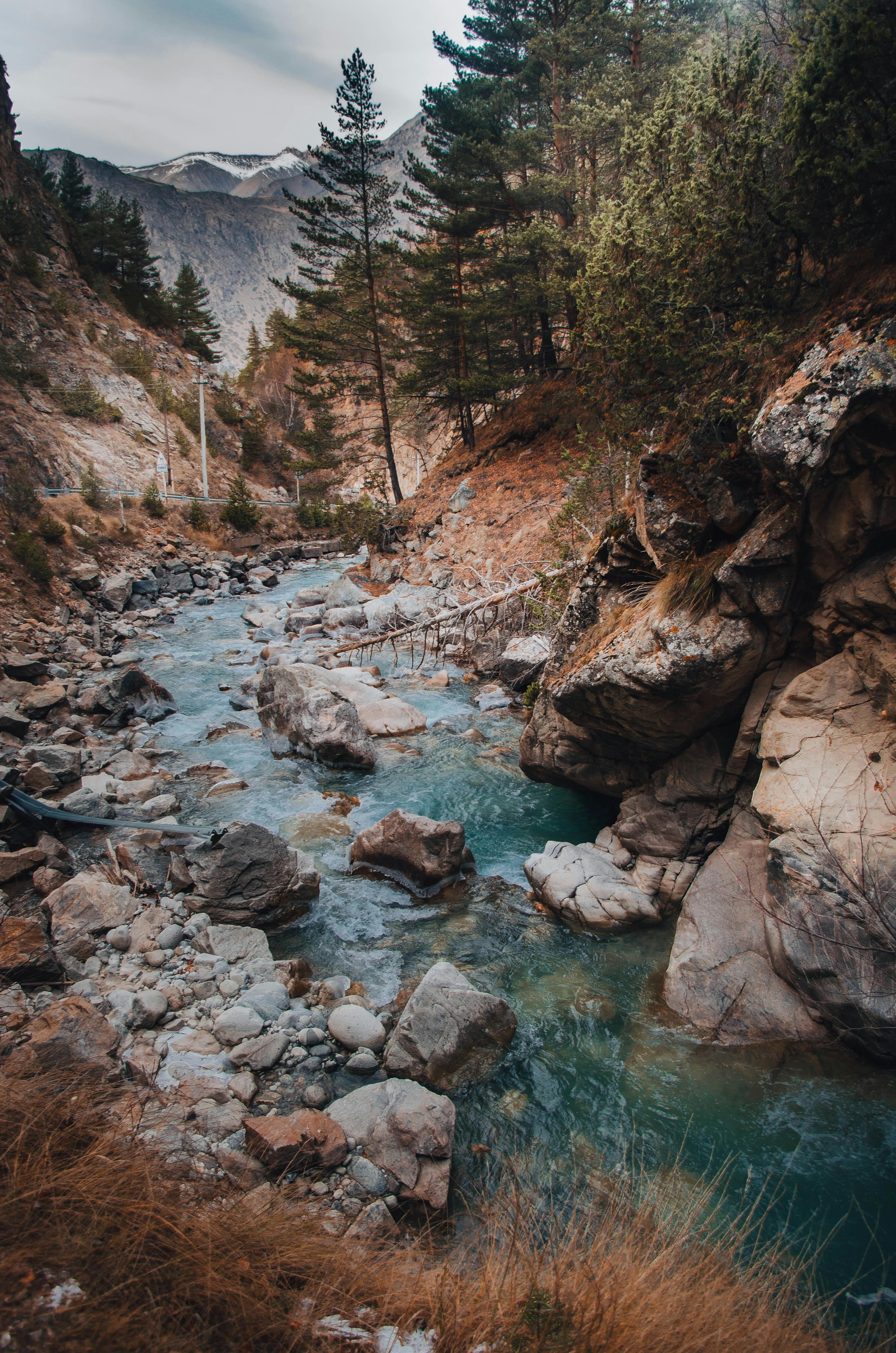 Stream Flowing Through Rocks in Forest · Free Stock Photo