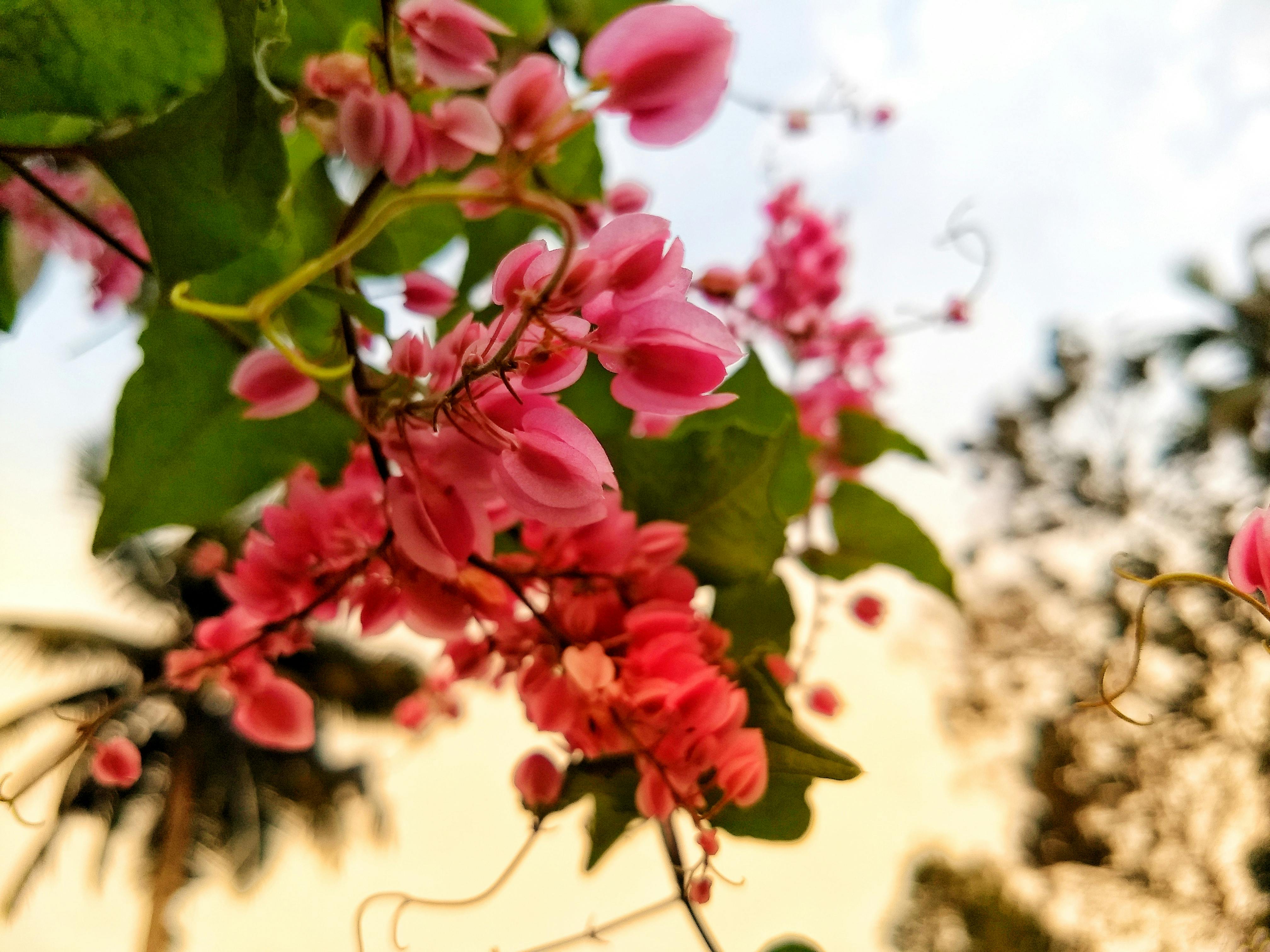 Aswin Sunil - 写真