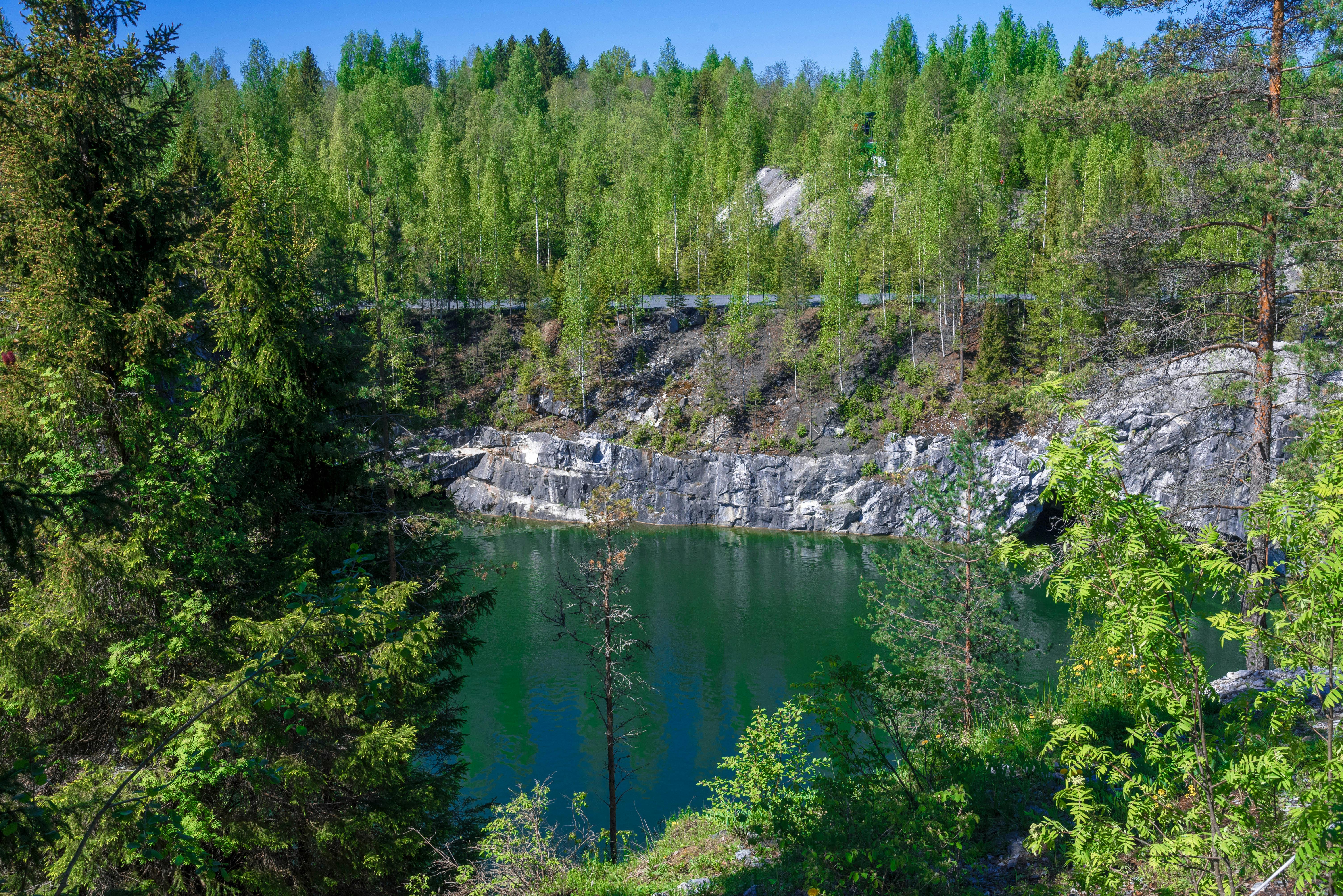 Lake near Forest · Free Stock Photo