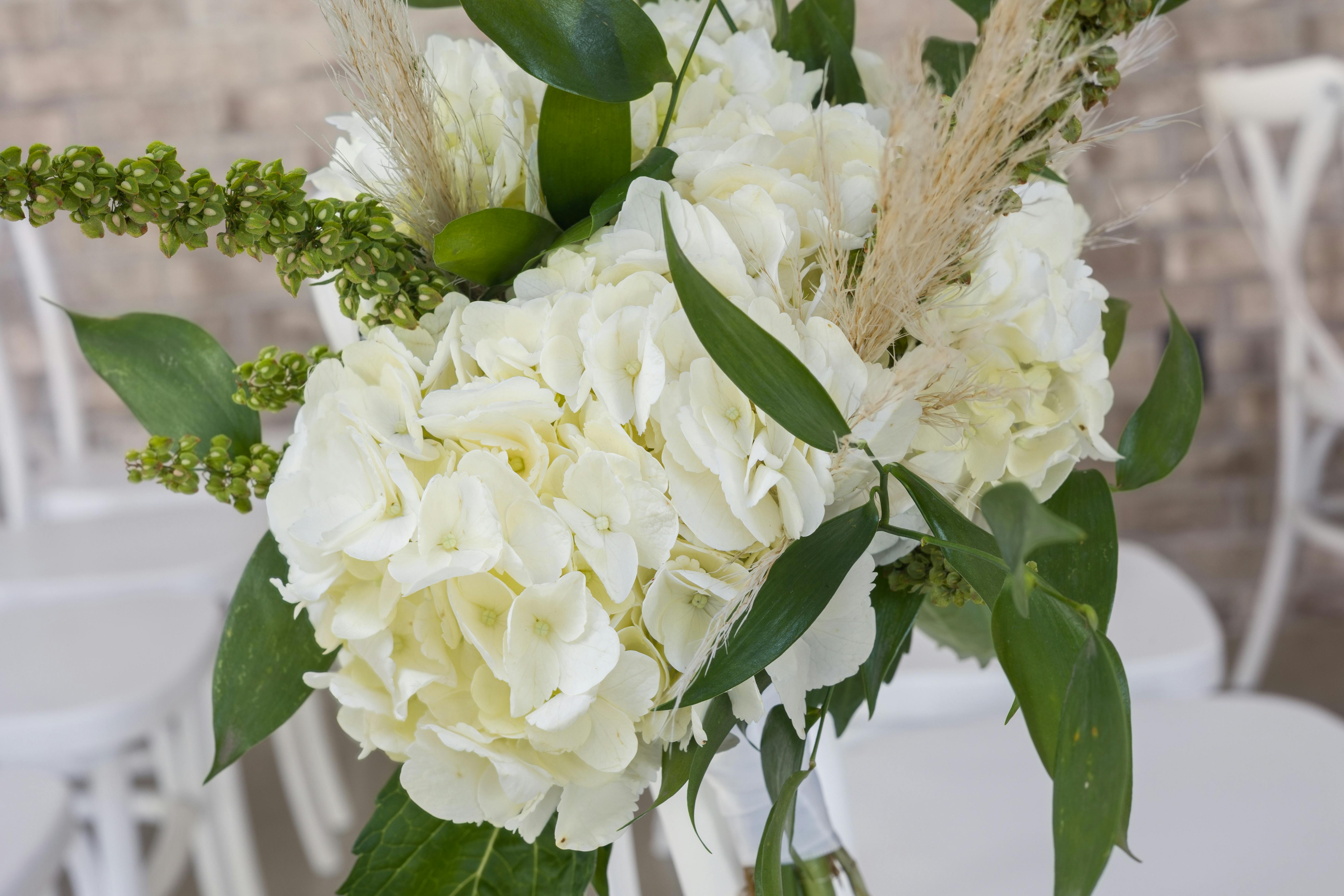 Curtis Adams · Fotografía