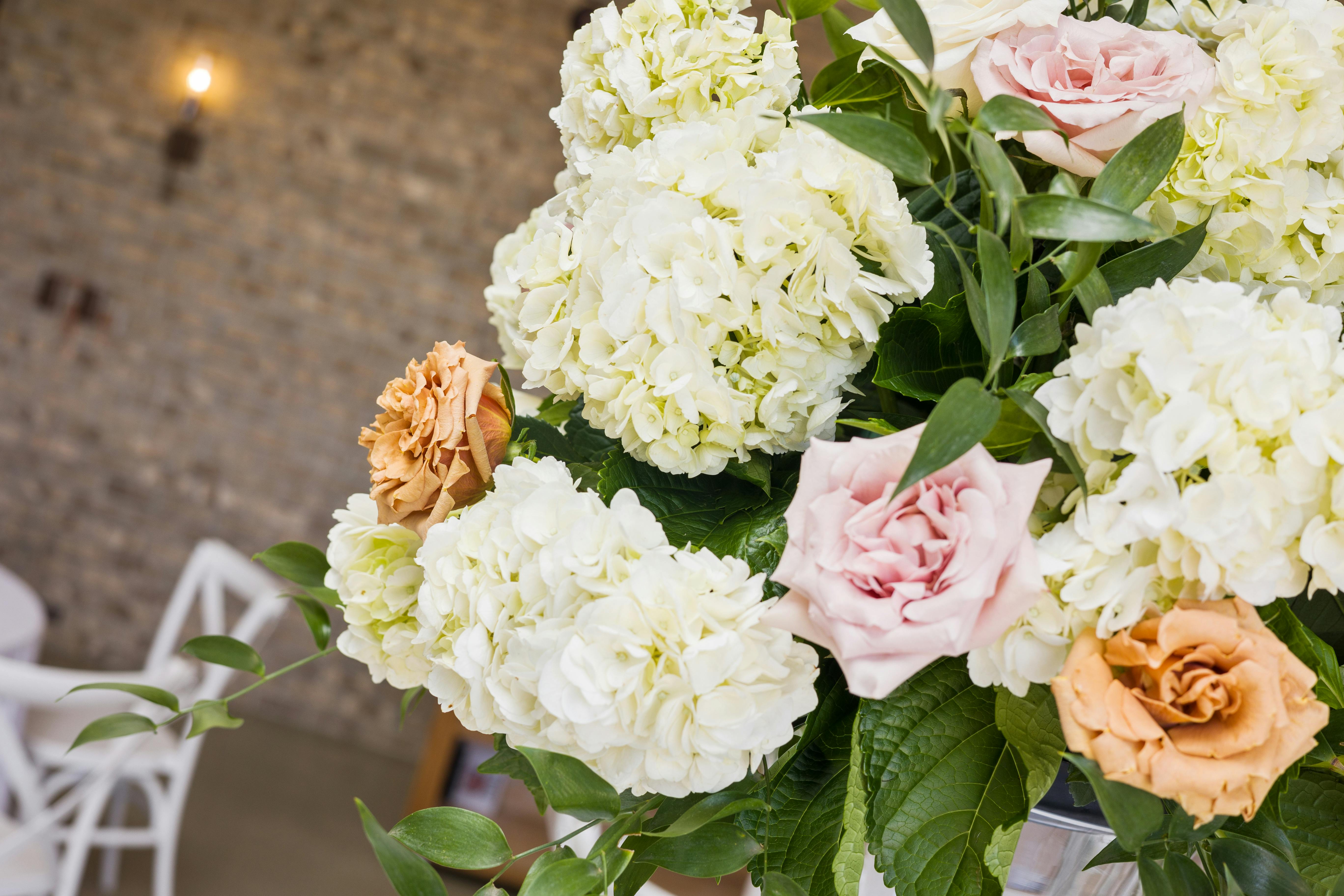 Curtis Adams · Fotografía