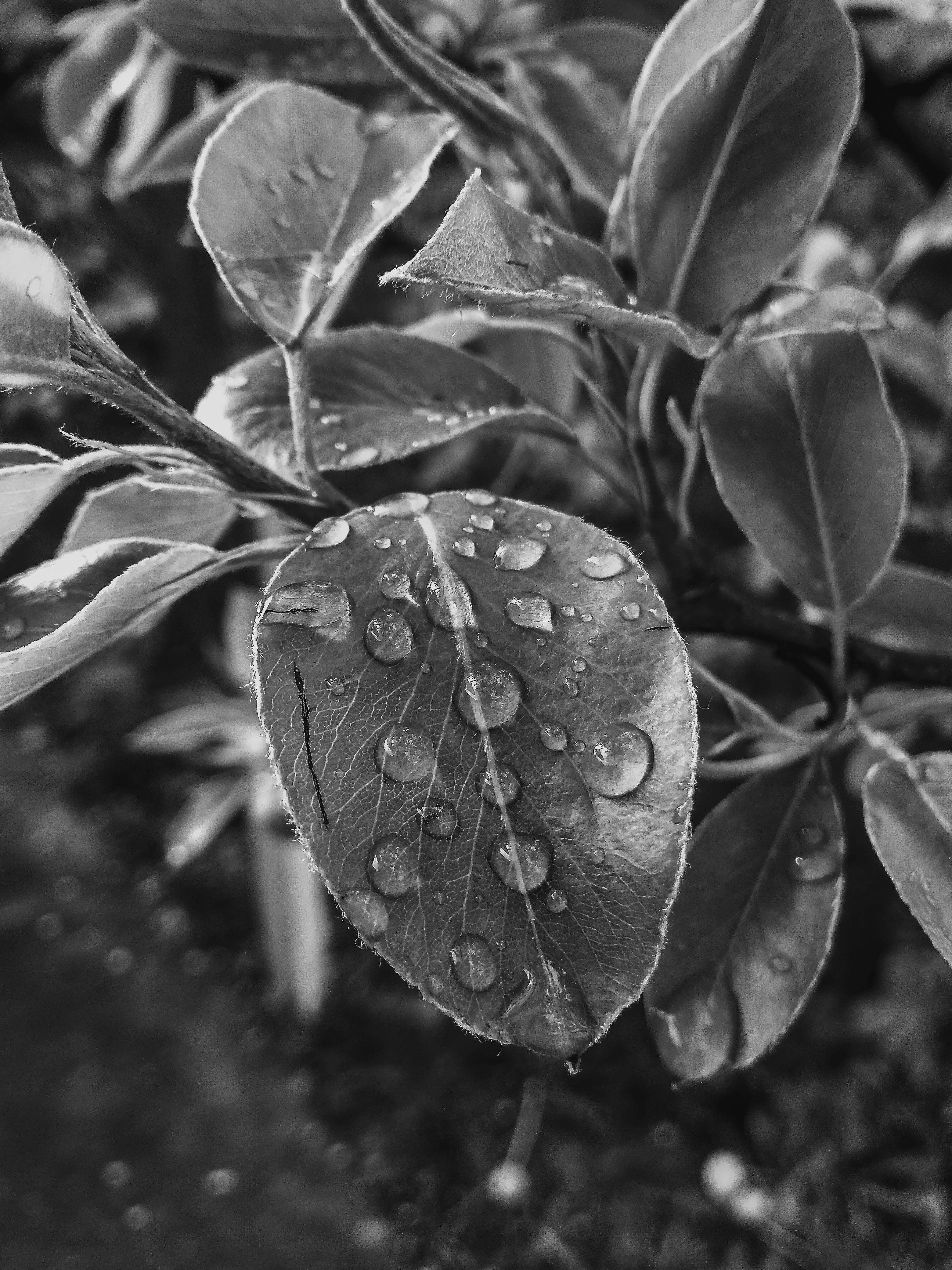 Close Up Shot of a Human Body · Free Stock Photo