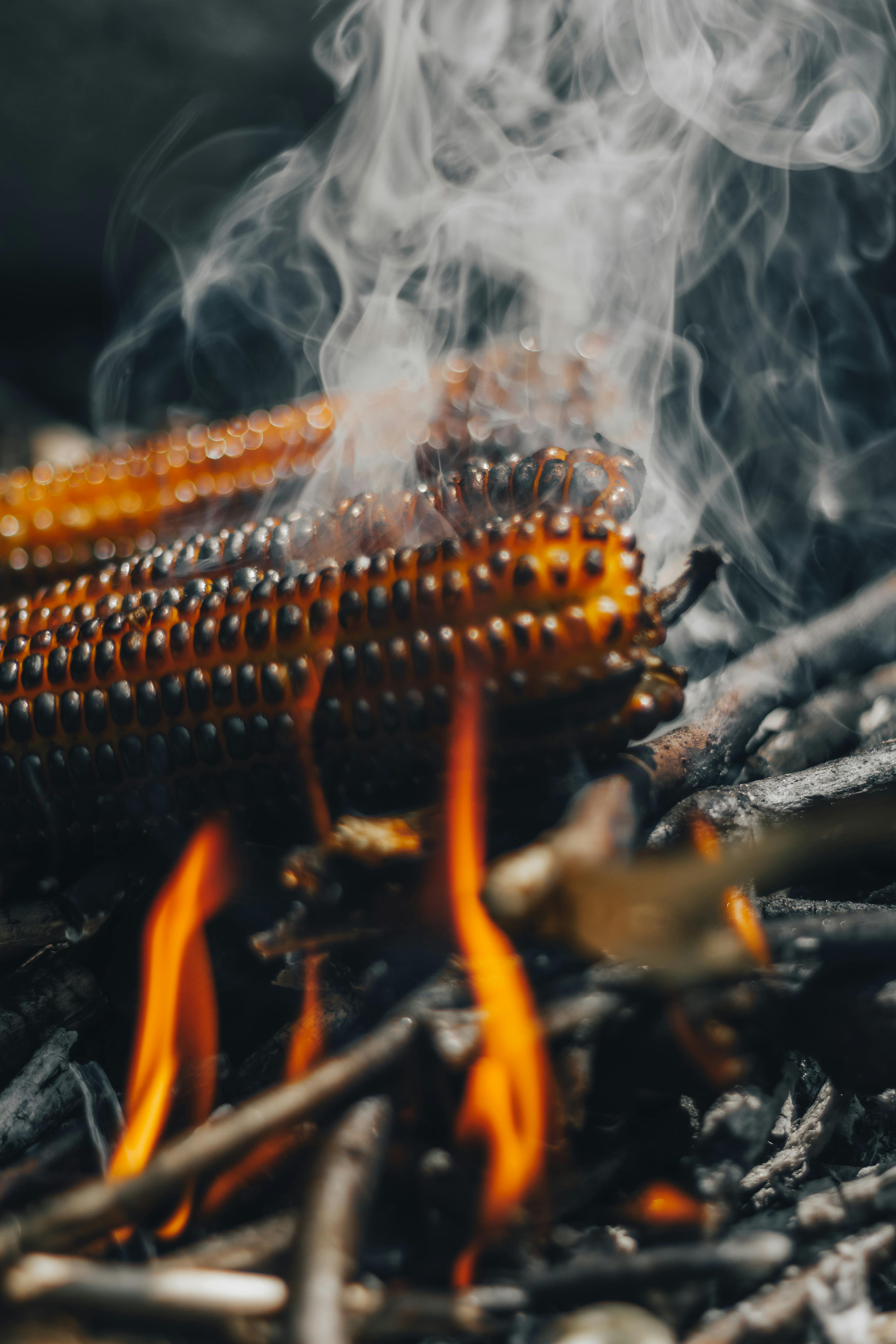 Orange and Black Corn on Fire · Free Stock Photo