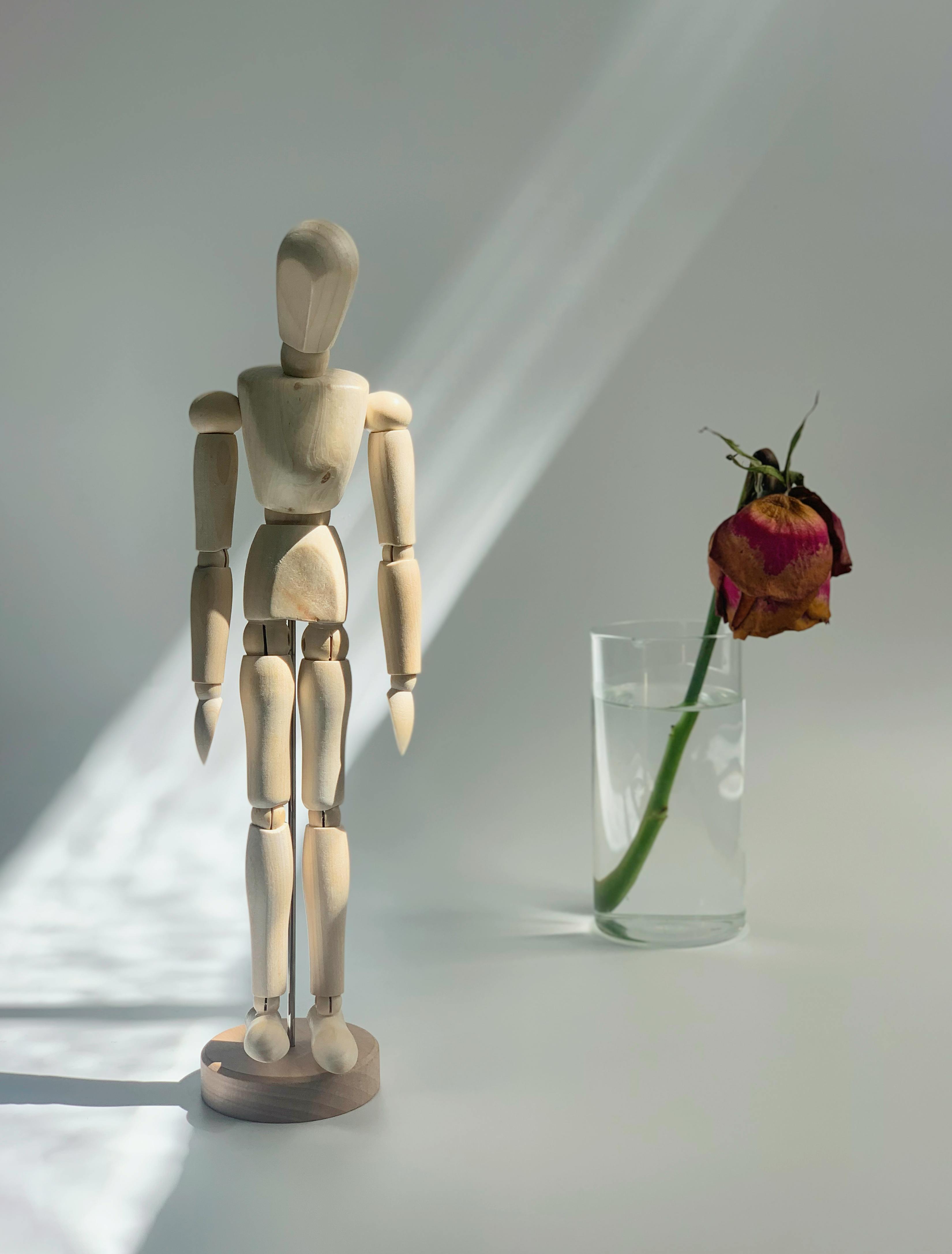 Mandara Flower Photos, Download Free Mandara Flower Stock Photos & HD ...