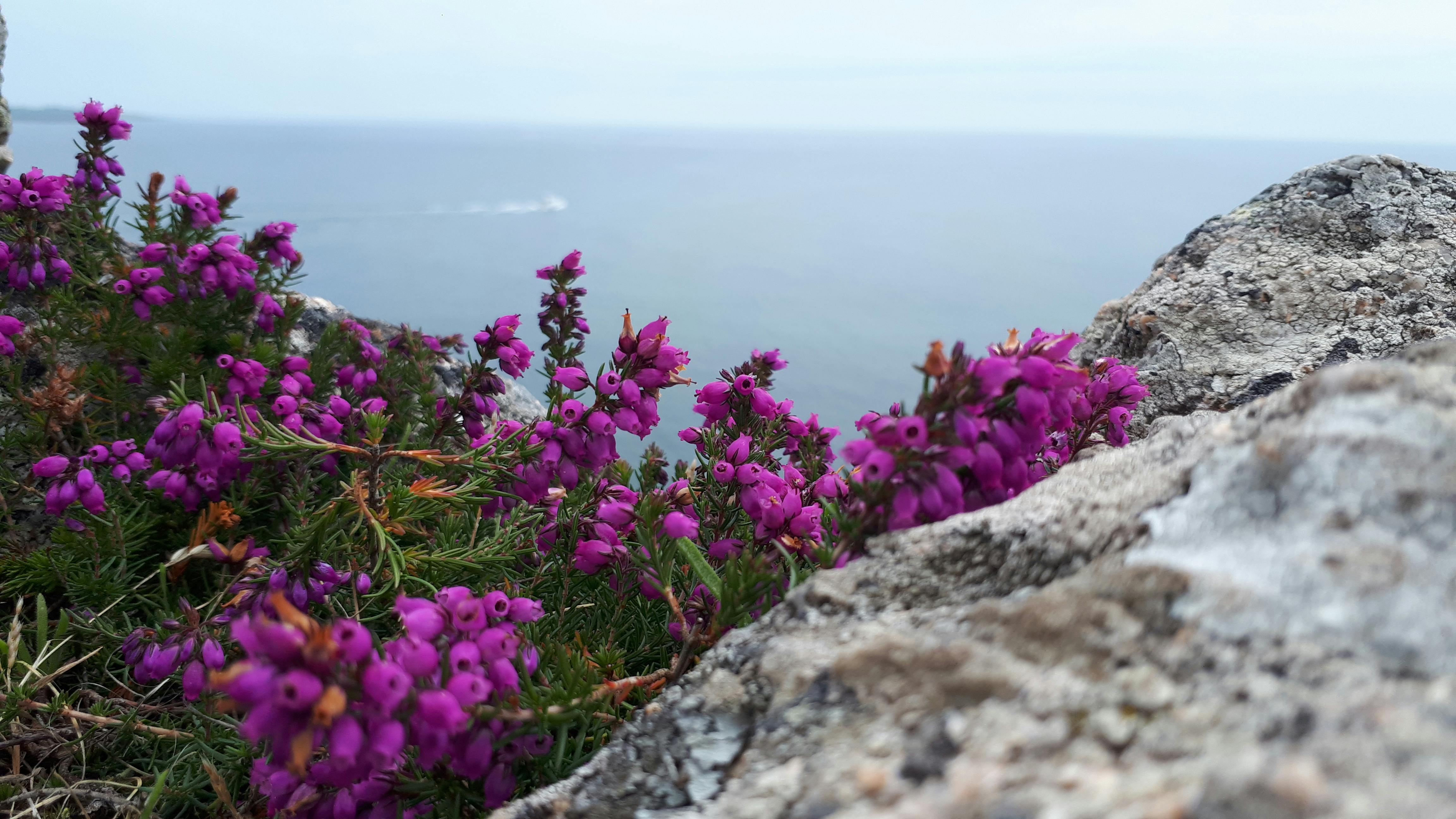 Mer 19 Photos & Videos Collected by Sylvie COLLIN