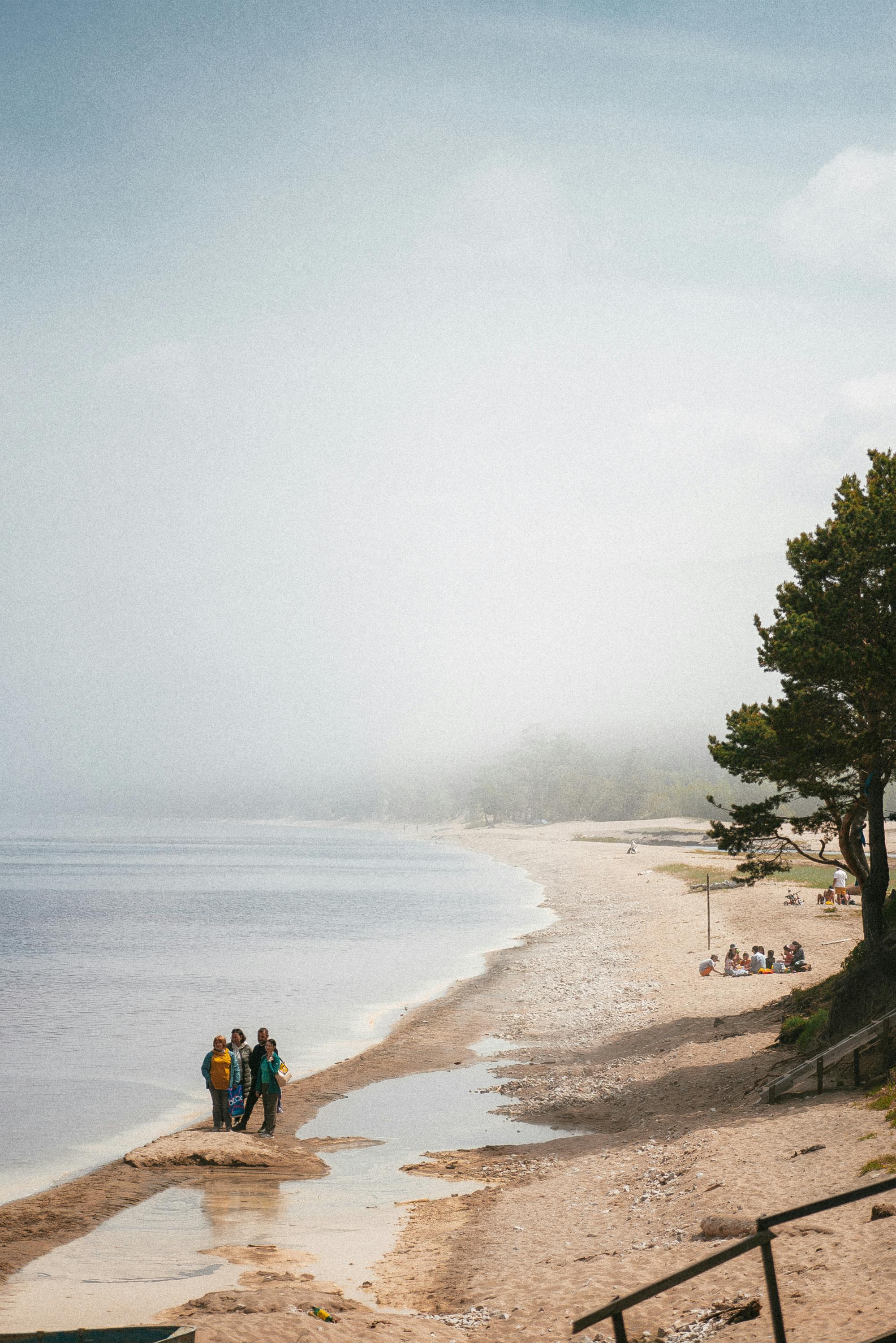 People Walking on Beach · Free Stock Photo