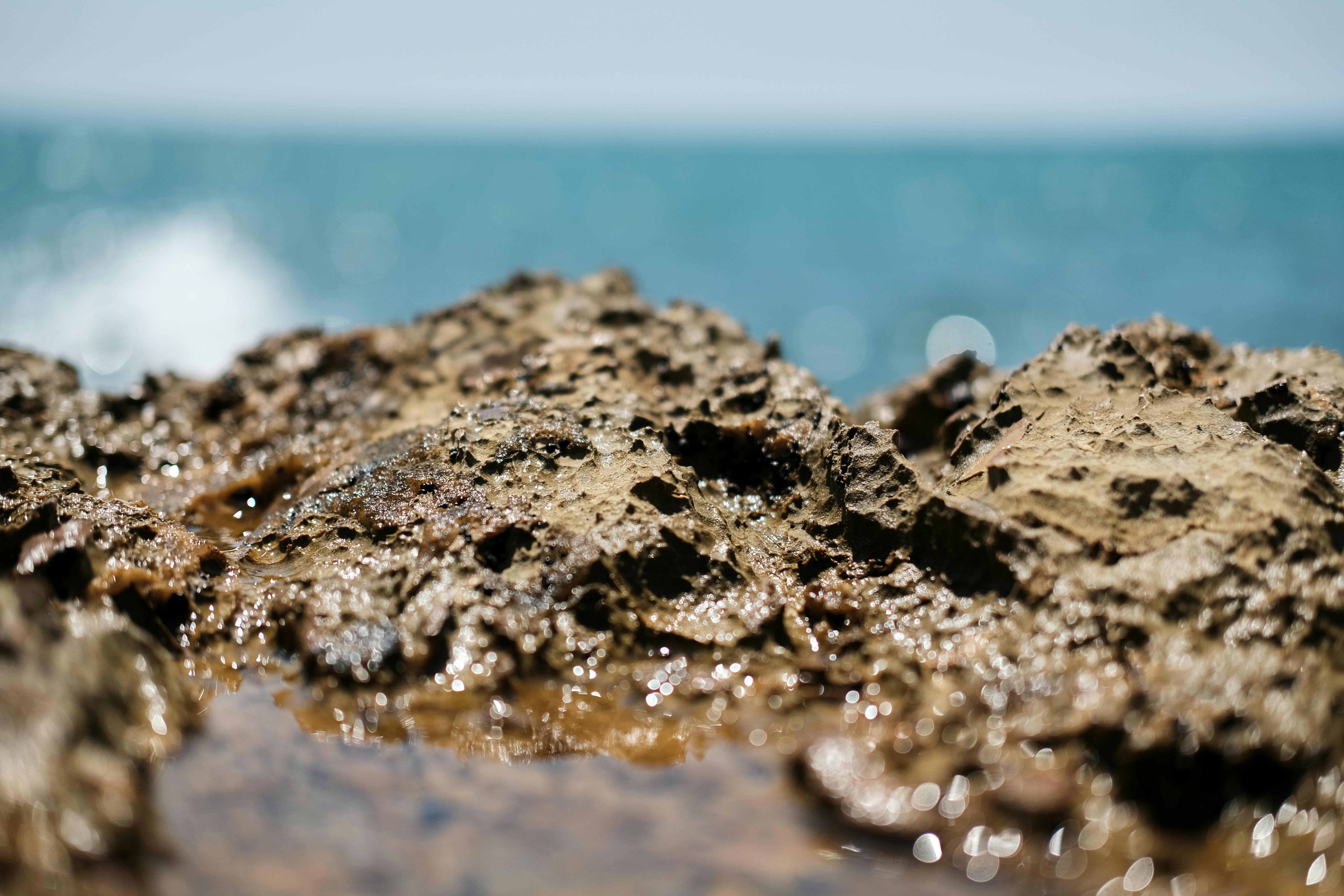 Brown Rocks · Free Stock Photo