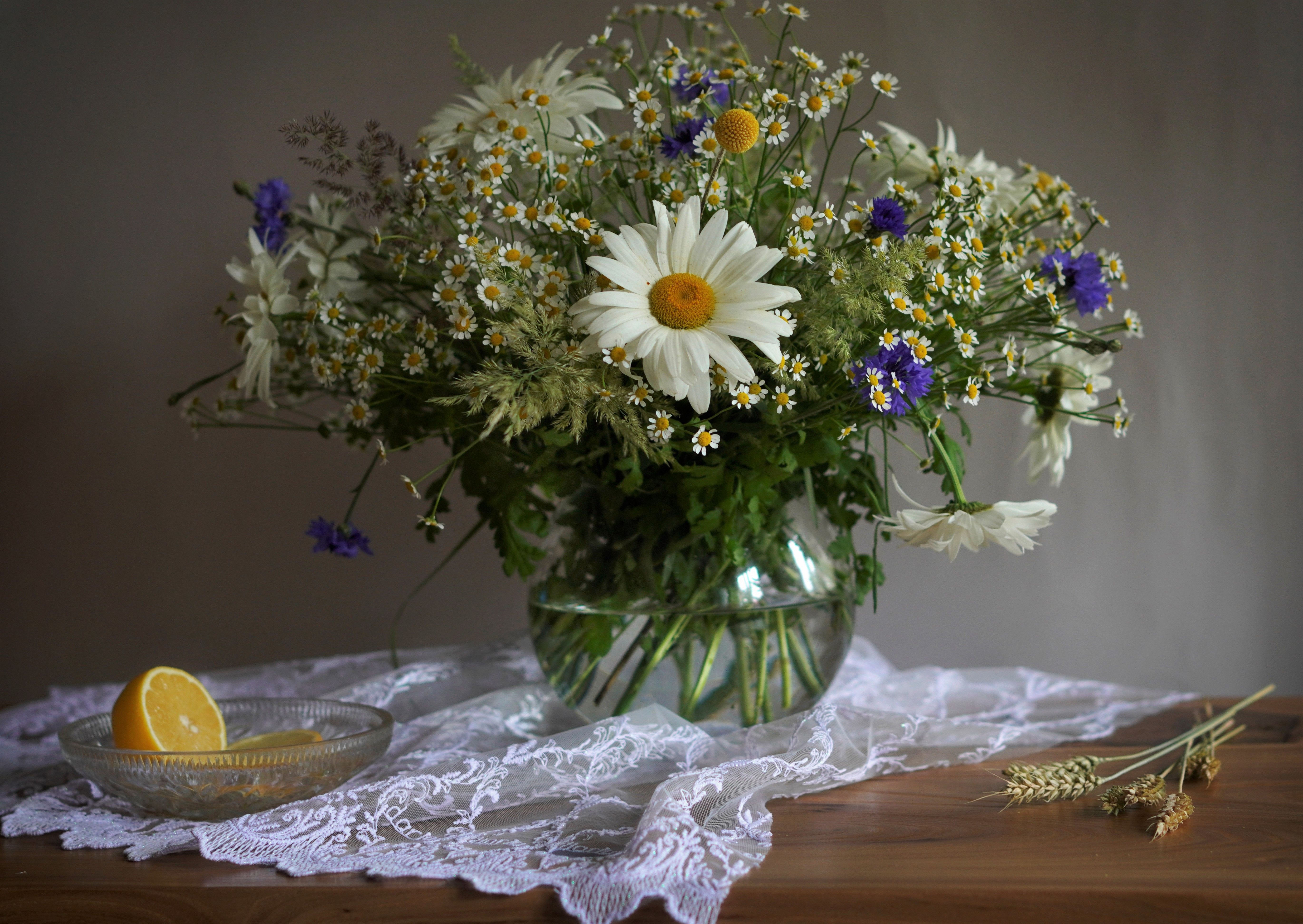 Close-Up Shot of Flowers in the Glass Vase · Free Stock Photo