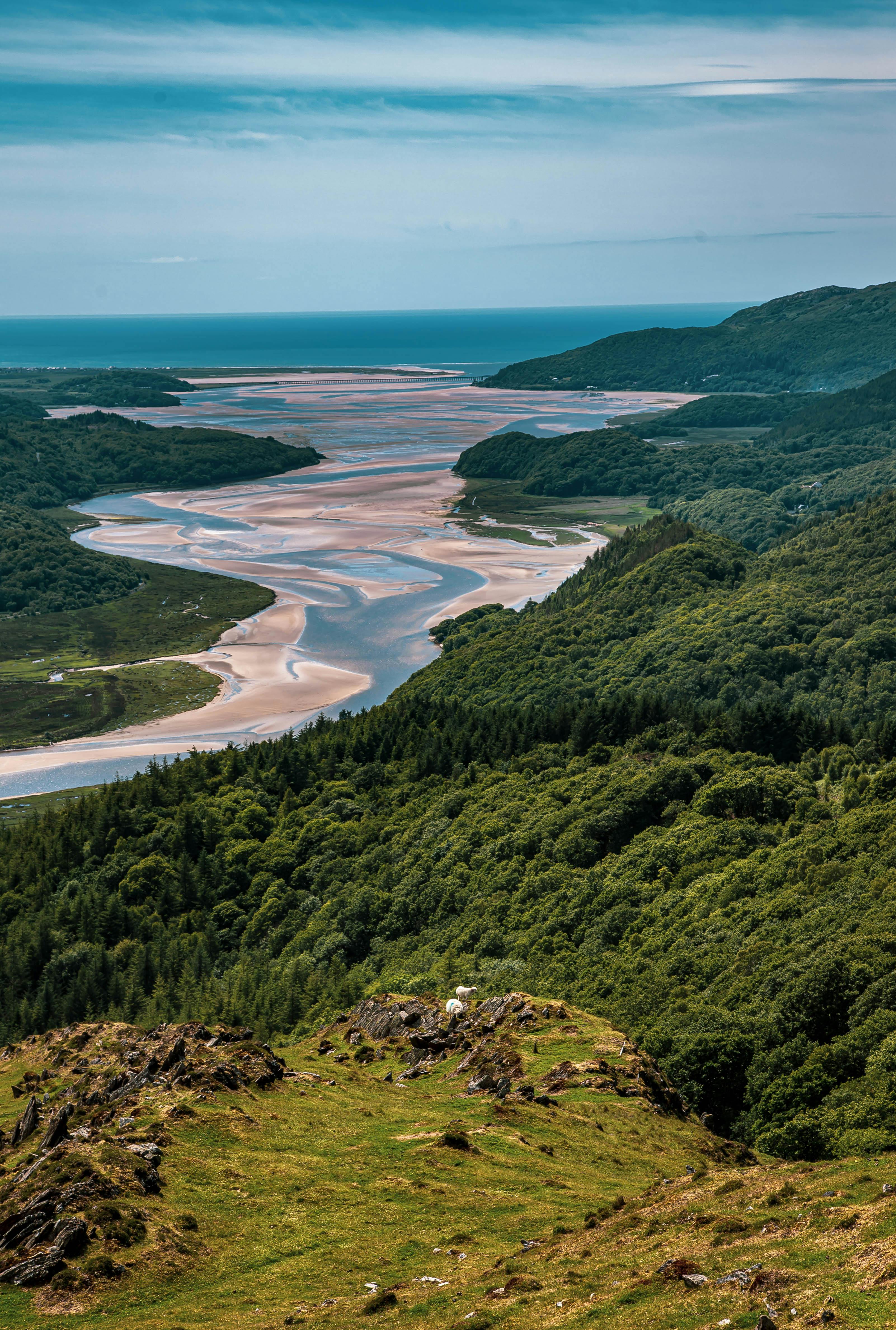 River Falling into the Sea Behind the Trees and Hills · Free Stock Photo