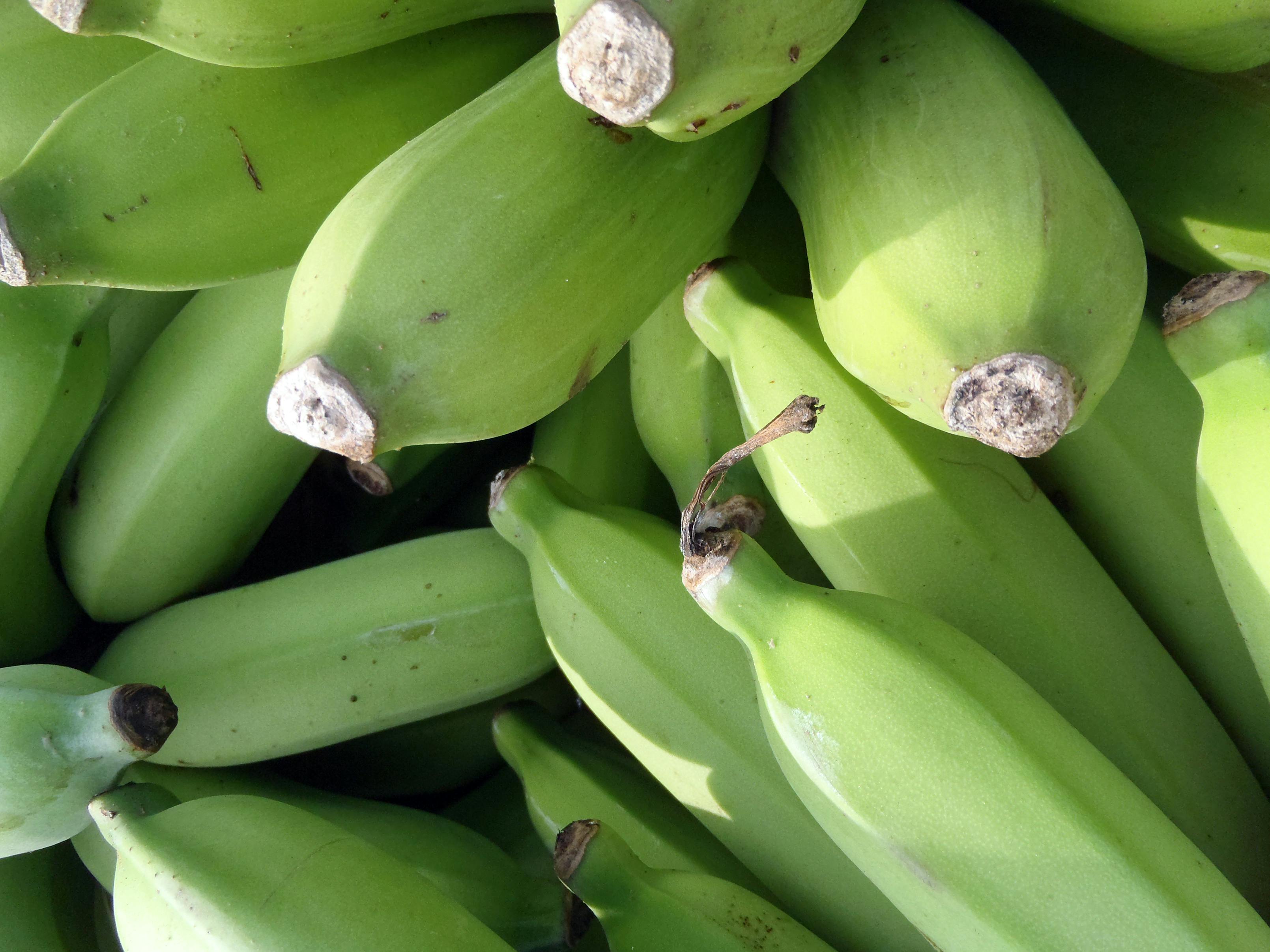 Unripe Banana in Close-up Photography · Free Stock Photo
