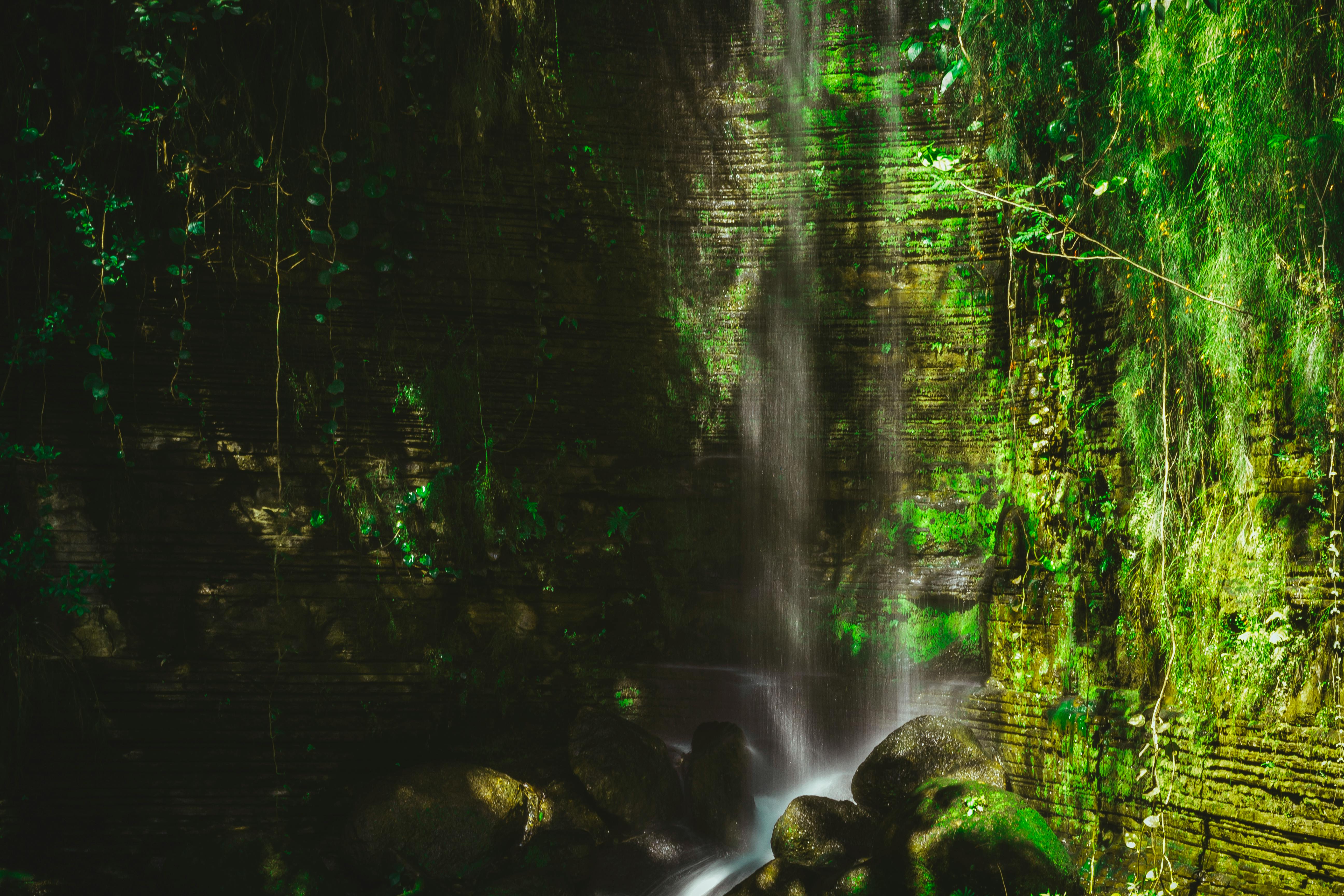 Vines and Waterfall · Free Stock Photo