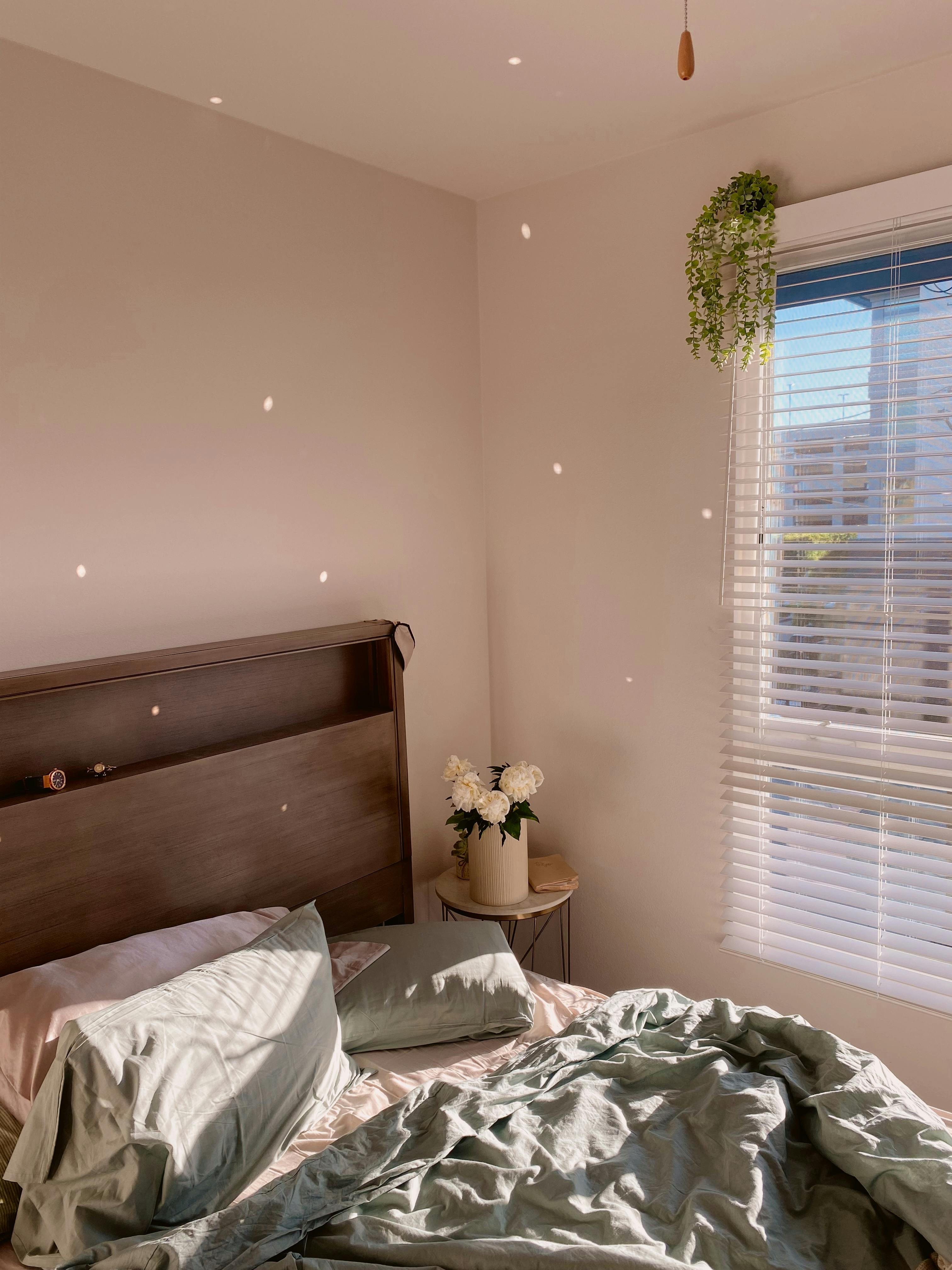 Flowers In Corner Photos, Download The BEST Free Flowers In Corner ...