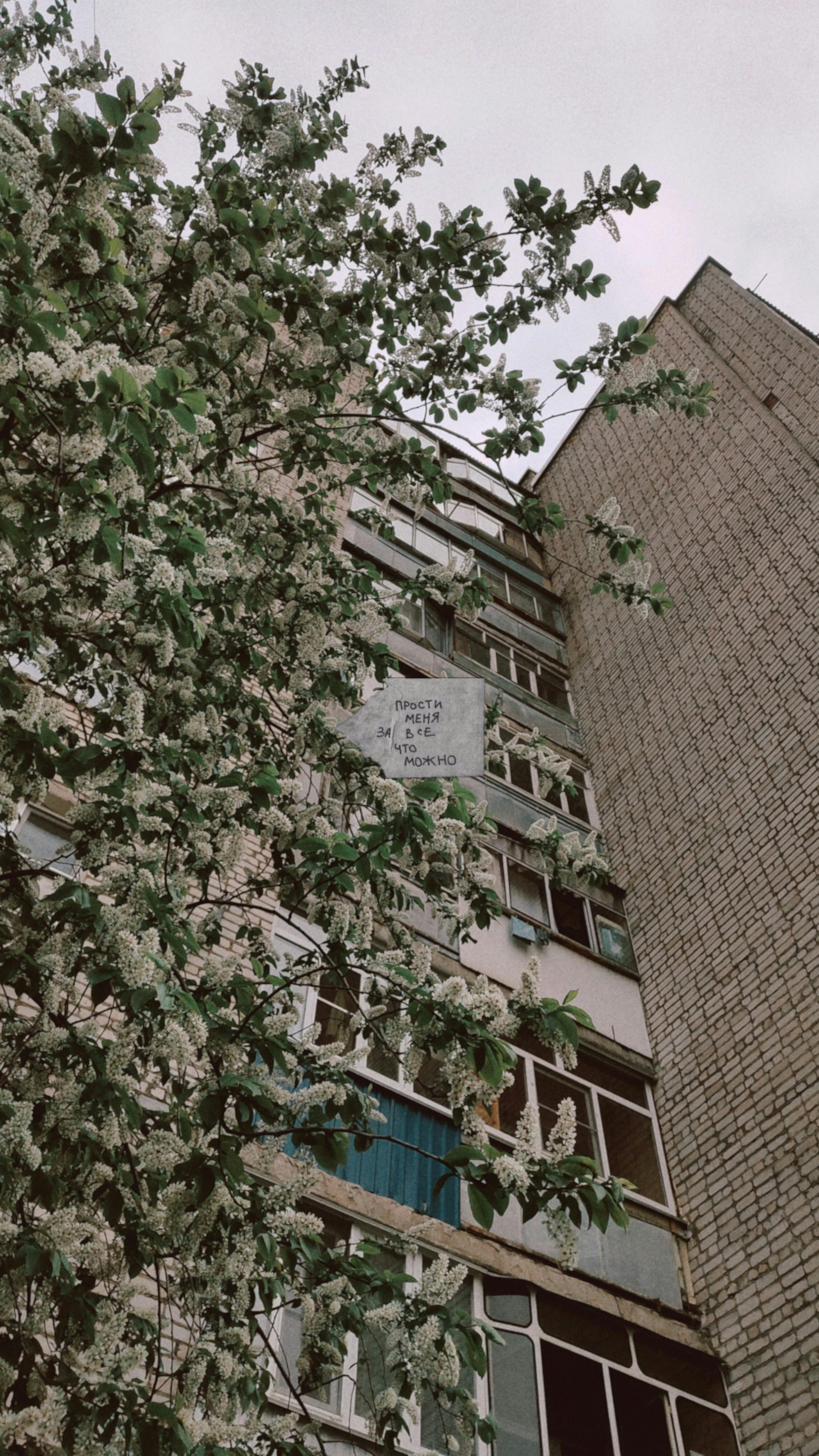 BD Bacatá Building Under White Sky · Free Stock Photo