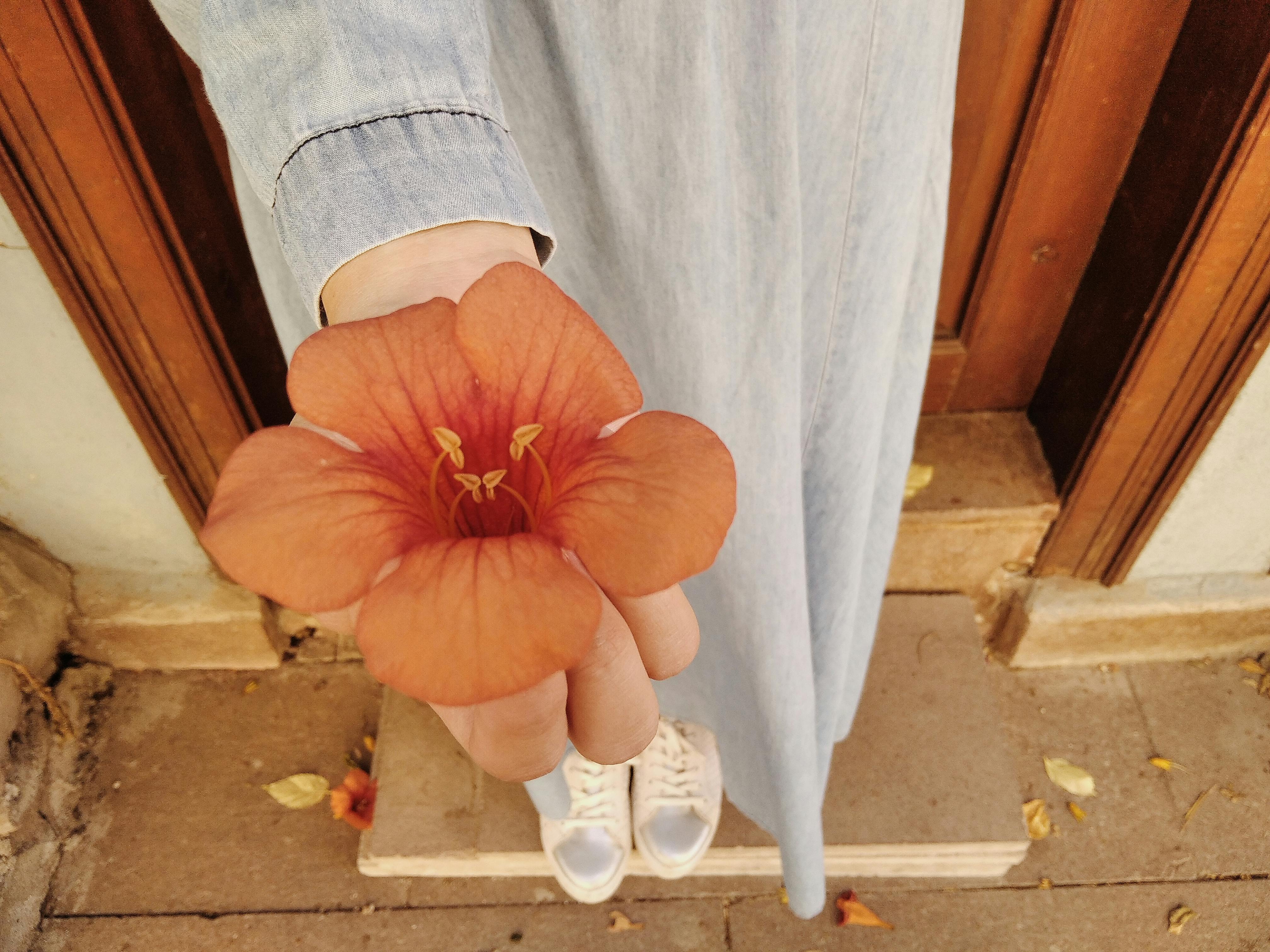 30+ Best Stigma Photos · 100% Free Download · Pexels Stock Photos